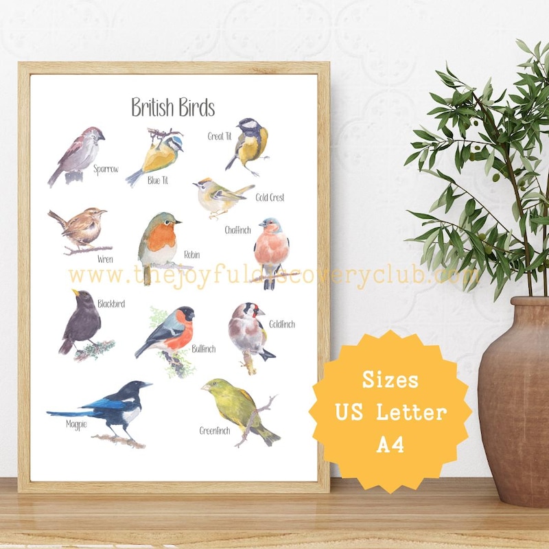 British Birds Poster - Etsy UK