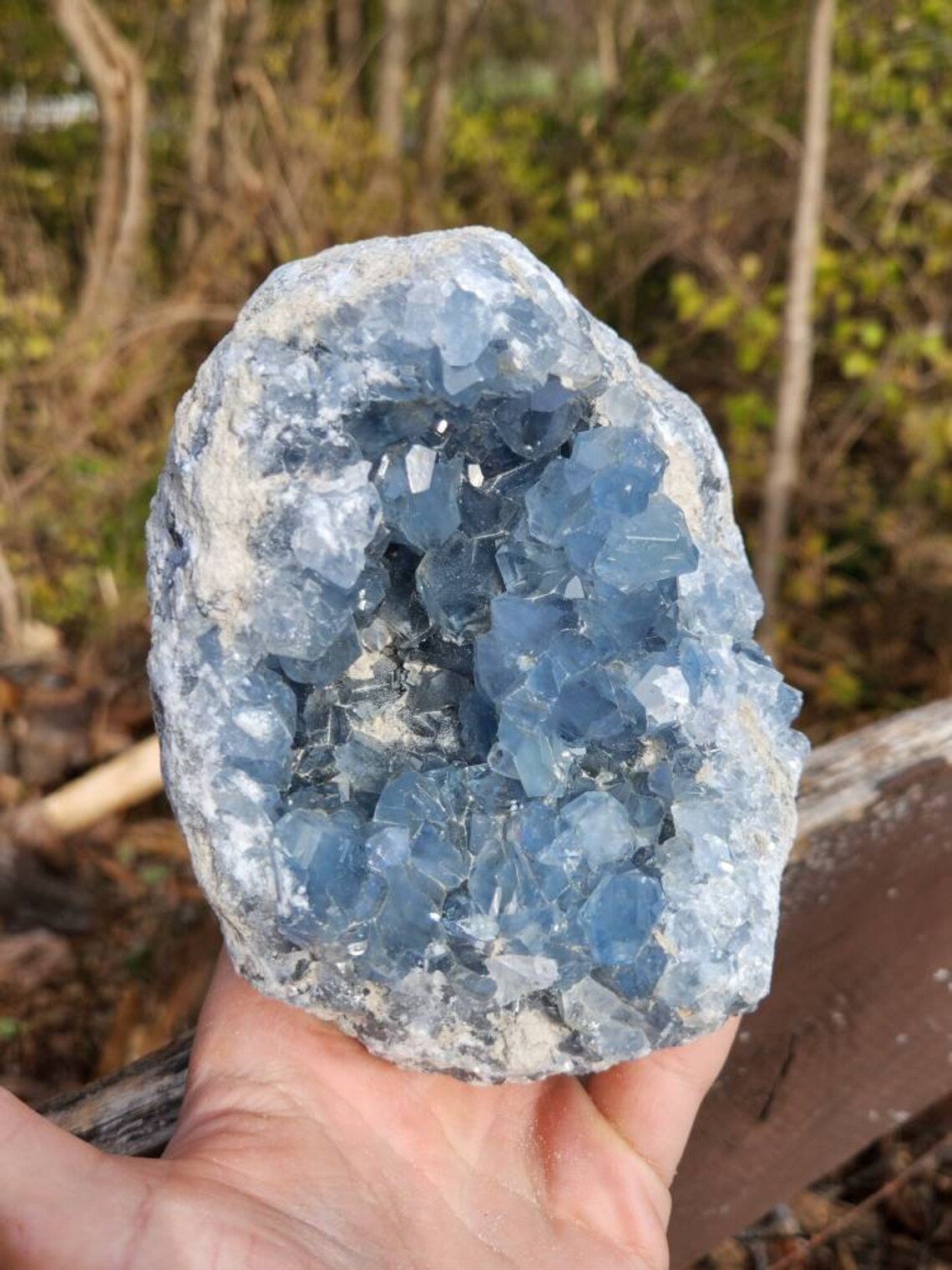 Large Celestite Geode From Madagascar! - Celestite Geode - Raw ...