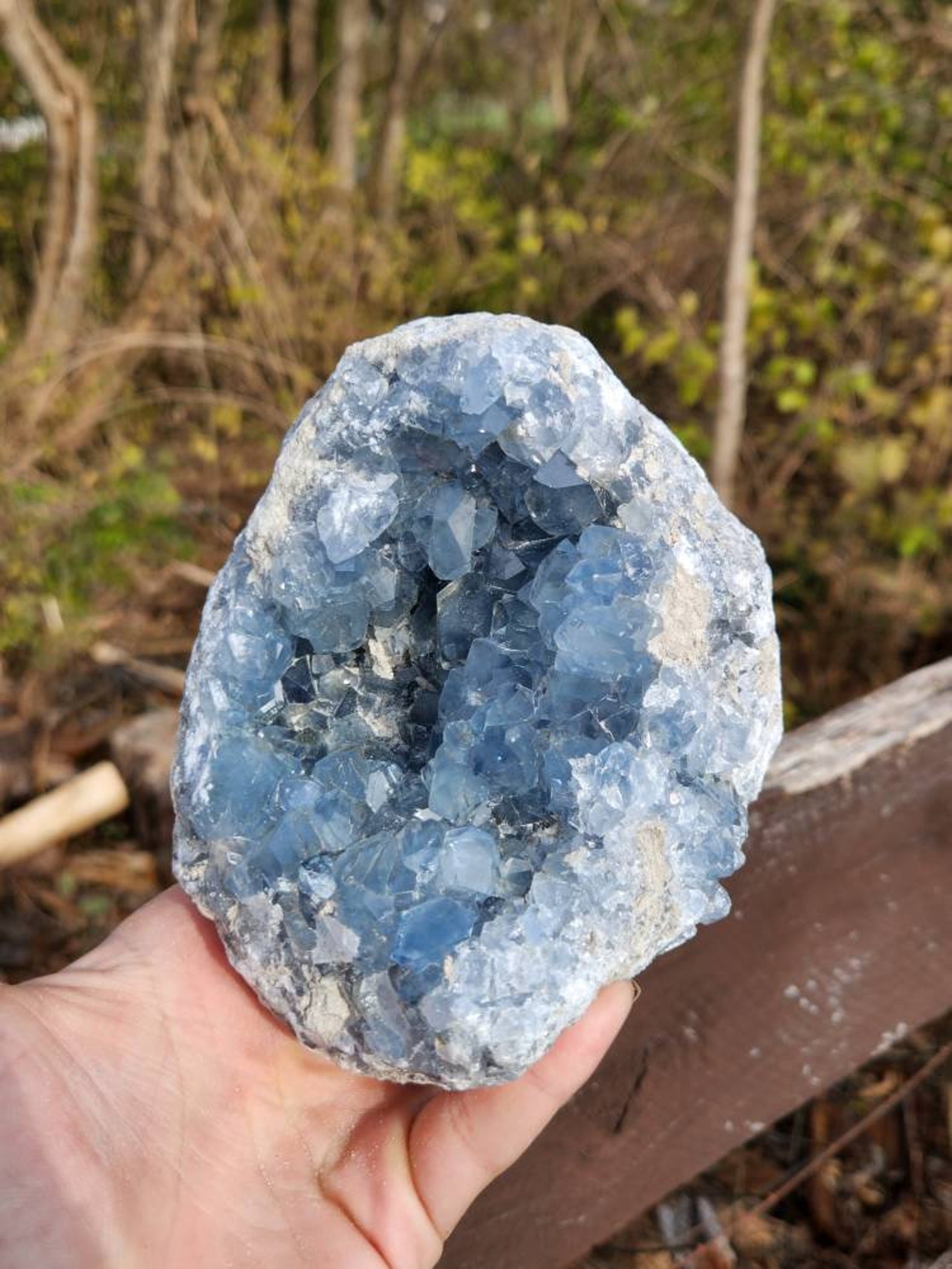 Large Celestite Geode From Madagascar! - Celestite Geode - Raw ...