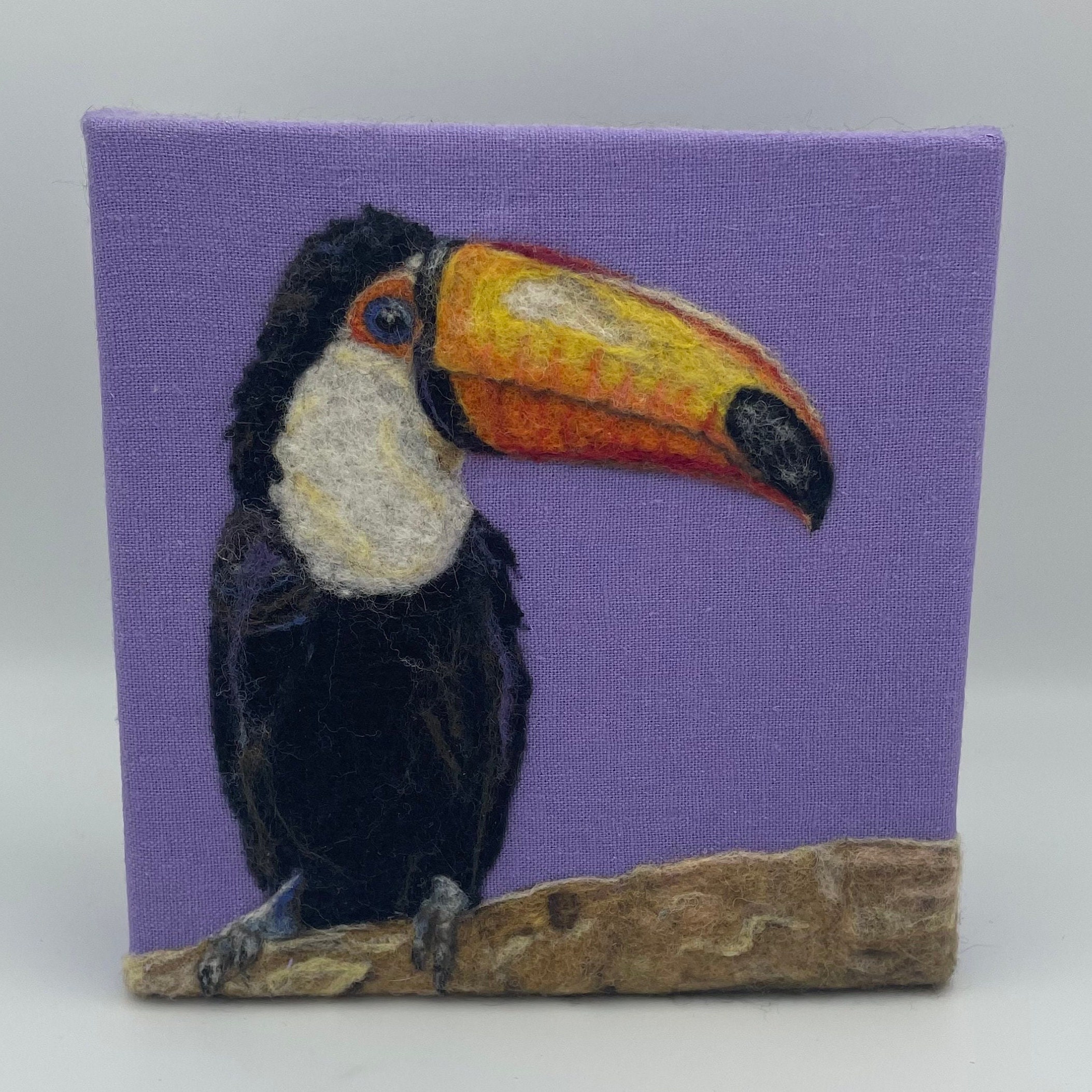 Toco Toucan 2D Needle Felted Wool Painting 6”x6” - Etsy