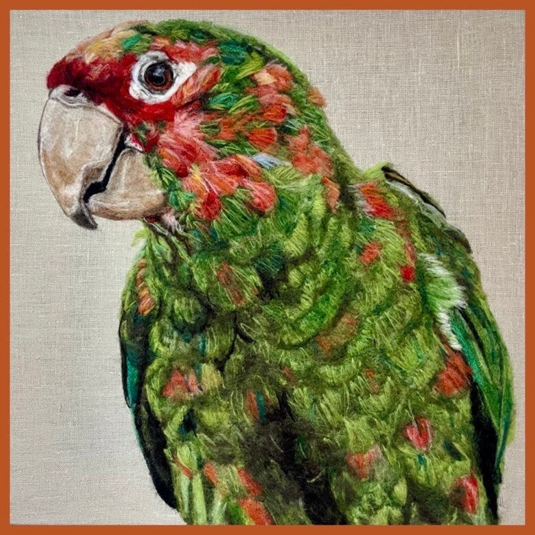 Mitred Conure Felted Painting With Wool 12” X 12” - Etsy