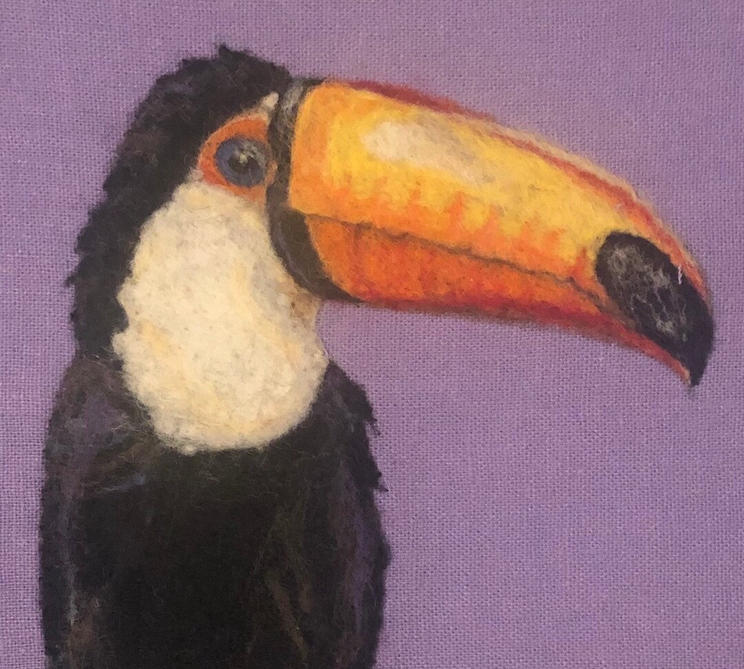 Toco Toucan 2D Needle Felted Wool Painting 6x6 - Etsy