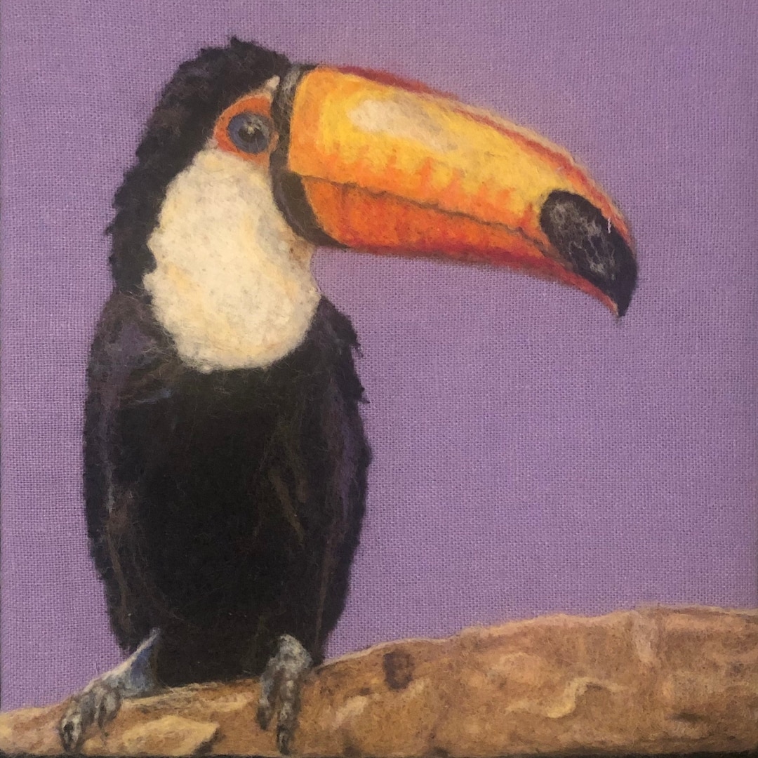 Toco Toucan 2D Needle Felted Wool Painting 6”x6” - Etsy