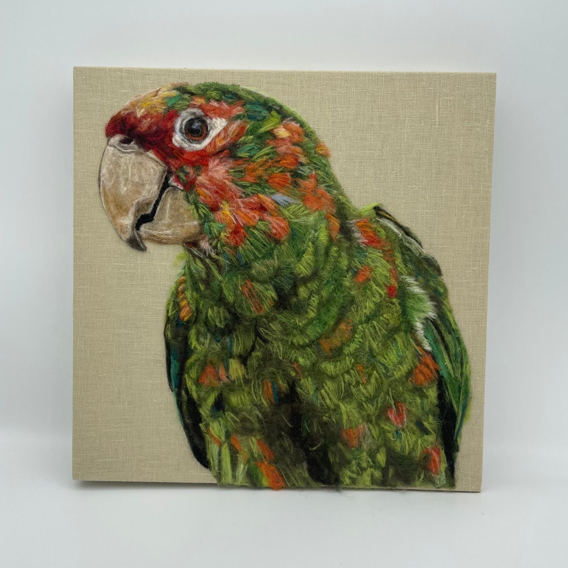 Mitred Conure Felted Painting With Wool 12” X 12” - Etsy