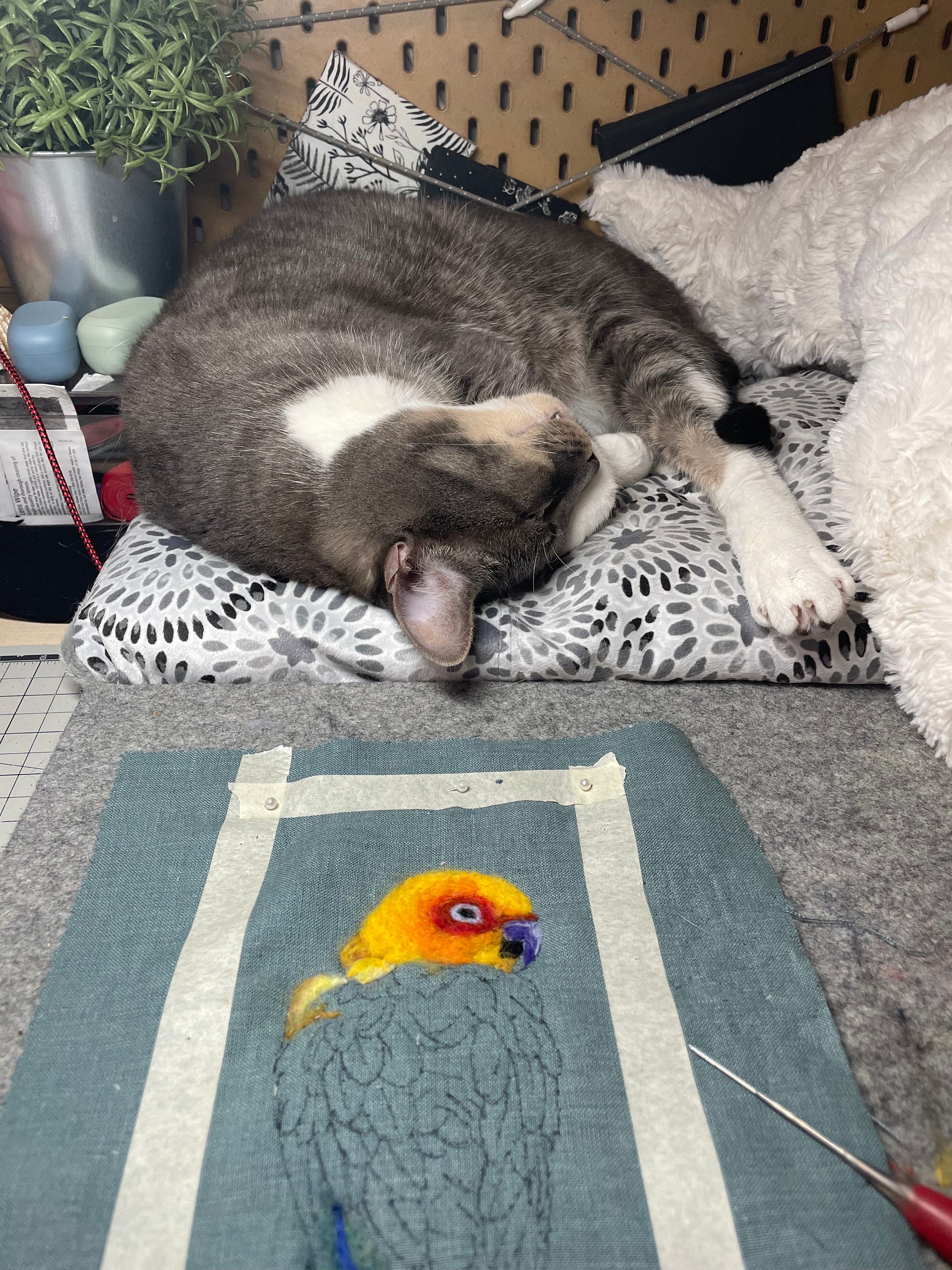 Sun Conure 2D Needle Felted Wool Painting 4" X 12" - Etsy