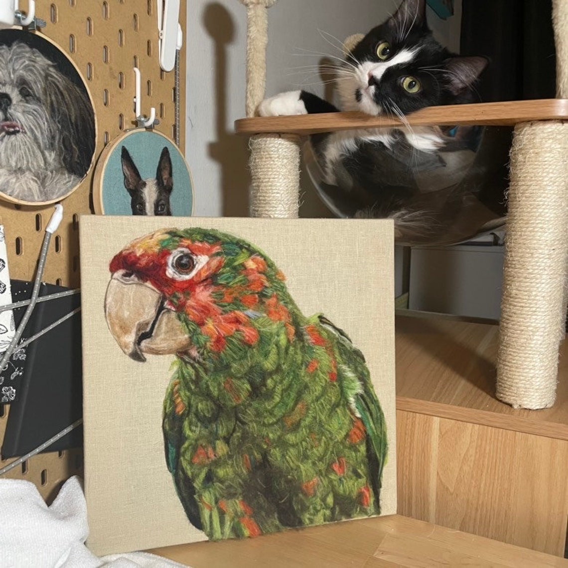 Mitred Conure Felted Painting With Wool 12” X 12” - Etsy
