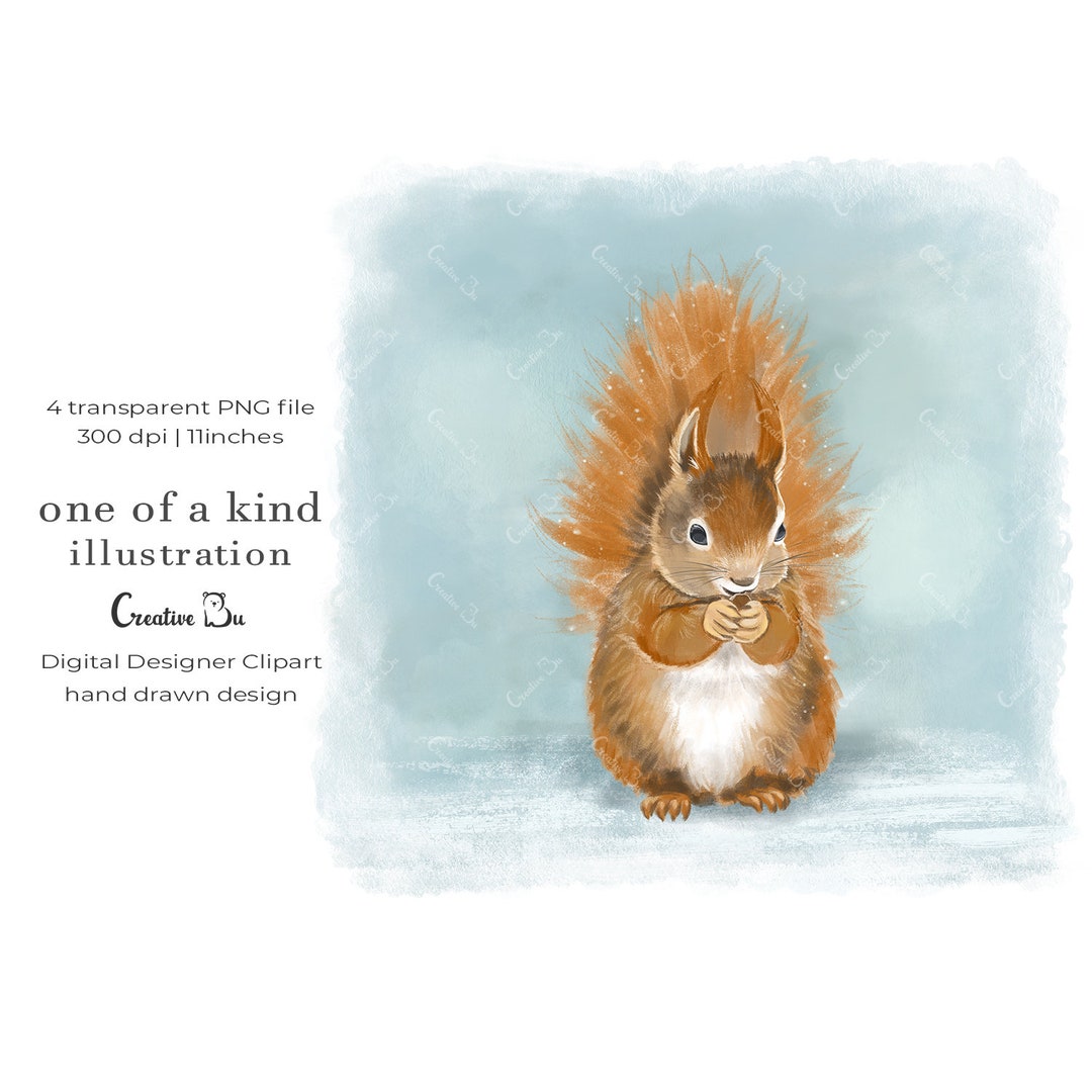 Watercolor Squirrel Clipart Illustration Woodland Animals Holiday ...