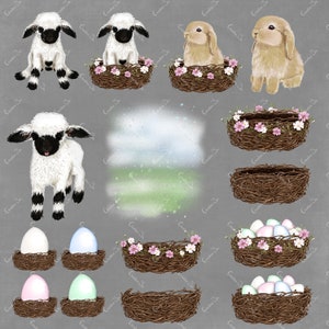 Farm Animal Watercolor Easter Clipart Cute PNG Bunny Blacknose Sheep ...