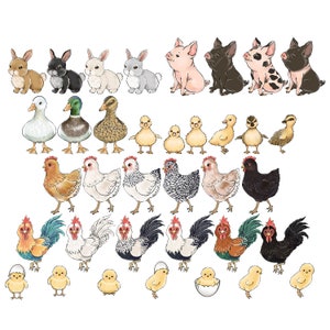 Farm Baby Animal Clipart Farmyard Animal PNG Donkey Horse Duckling ...
