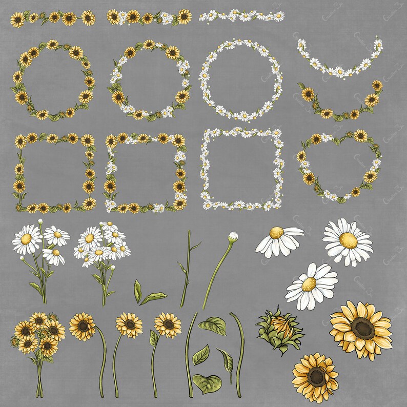 Farm Wreath Sunflower and Daisy Frame Border Clipart Floral - Etsy