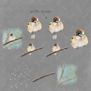 Watercolor Bird Sparrow Clipart Illustration Woodland Animals Holiday ...