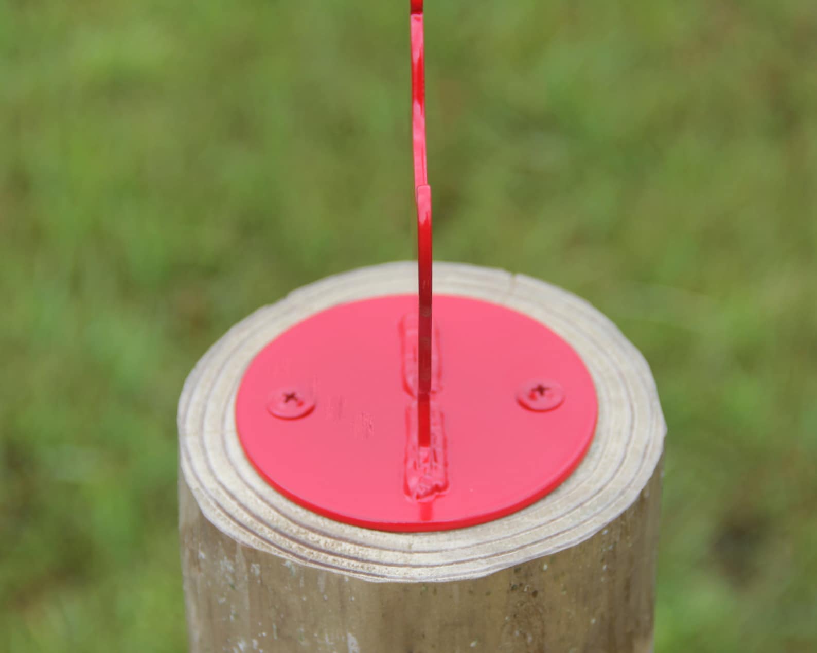 T-rex Post Top for Round Wood Fence Post Dinosaur Finial Post | Etsy