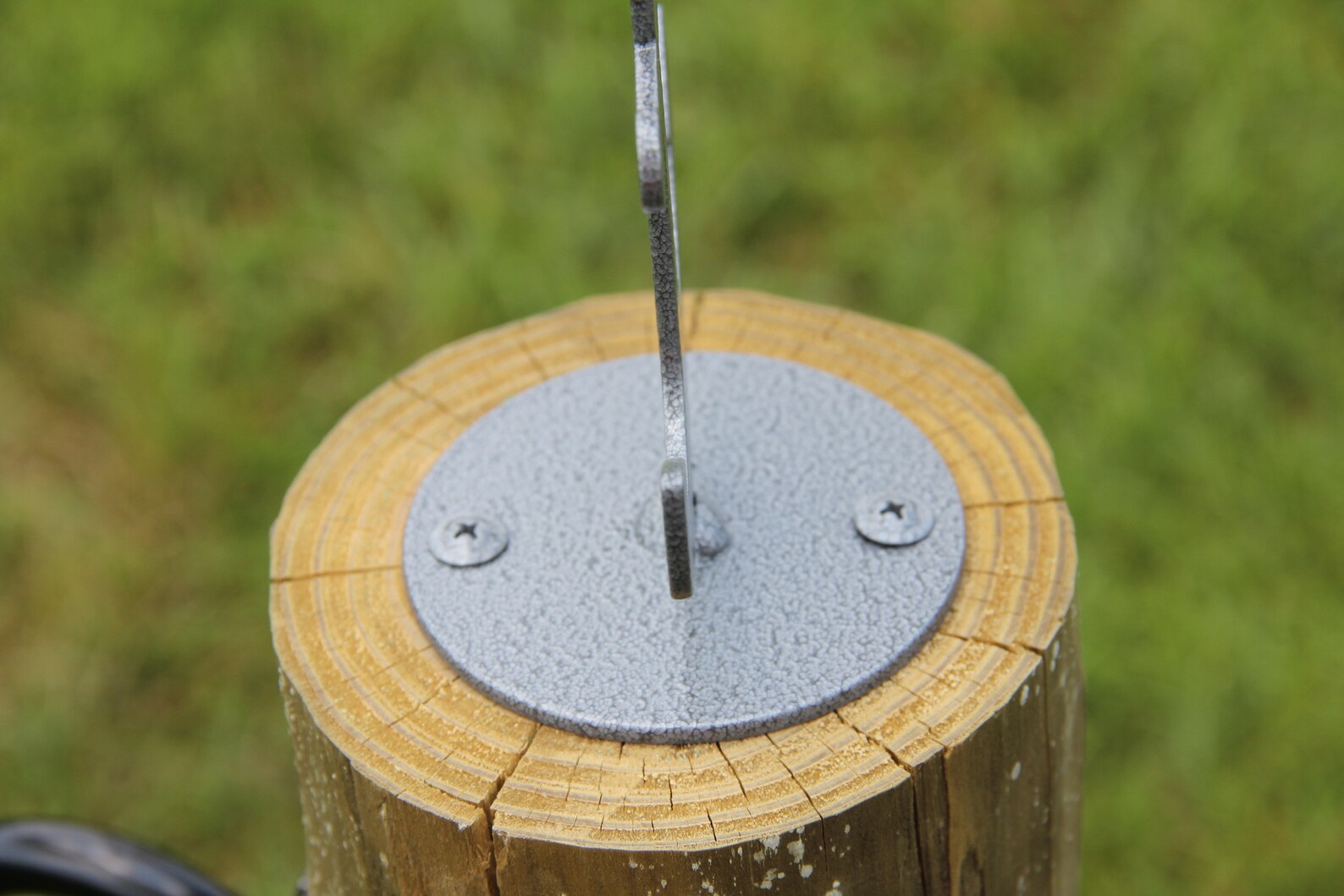 T-rex Post Top for Round Wood Fence Post Dinosaur Finial Post - Etsy