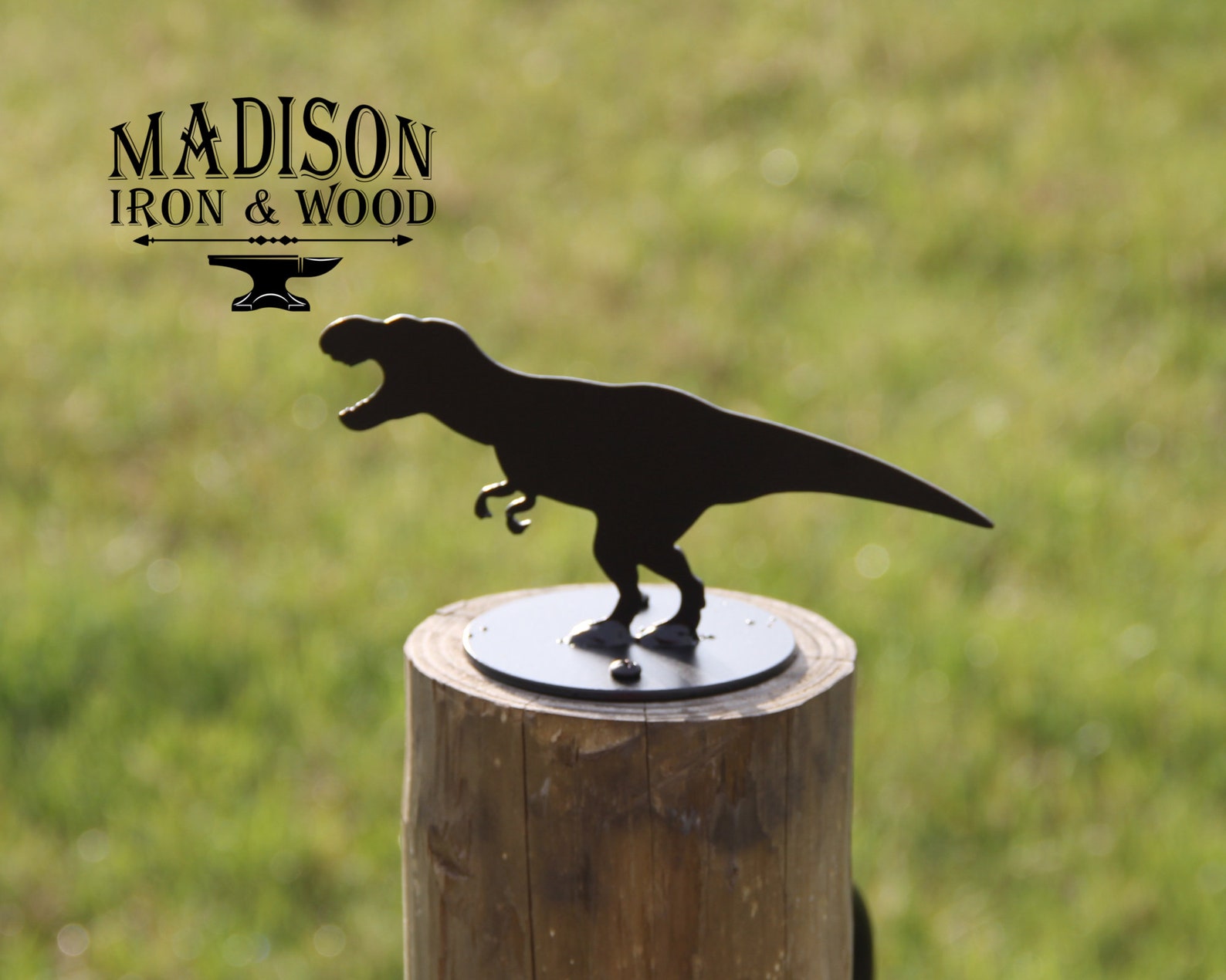 T-rex Post Top for Round Wood Fence Post Dinosaur Finial Post | Etsy