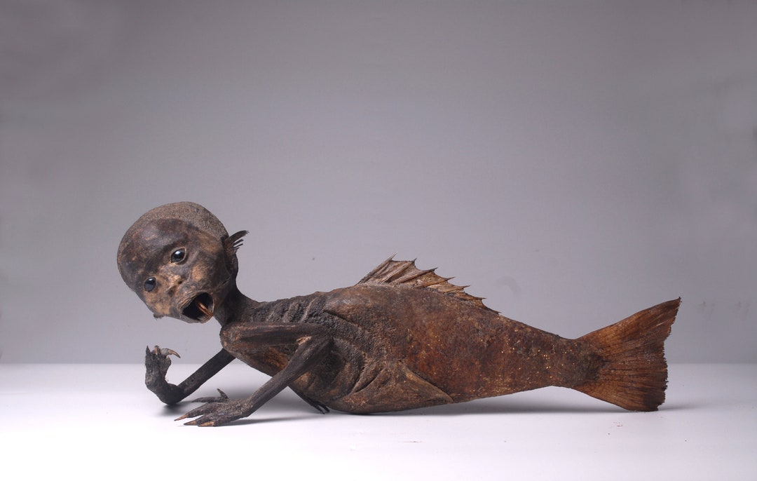Feejee MERMAID Fiji Mermaid Mummified Mermaid - Etsy