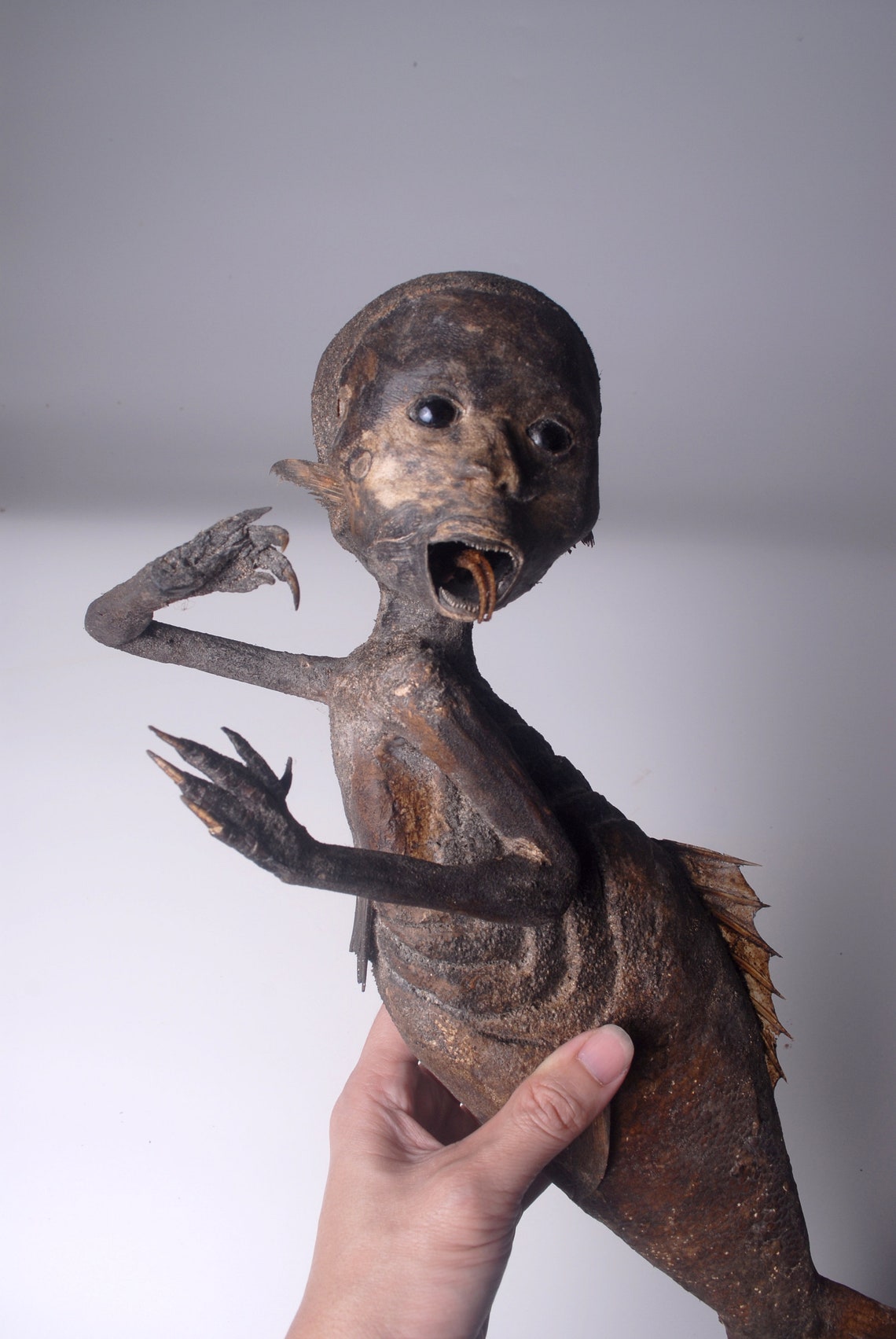 Feejee MERMAID Fiji Mermaid Mummified Mermaid - Etsy