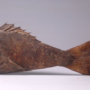 Feejee MERMAID Fiji Mermaid Mummified Mermaid - Etsy