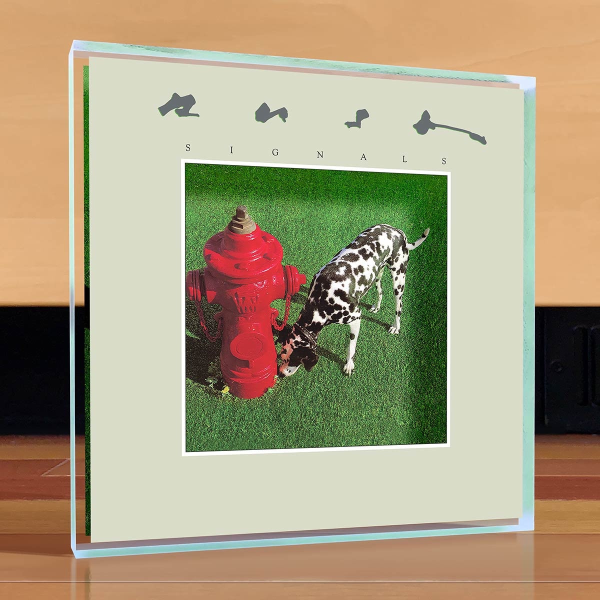 Rush Signals Album Cover