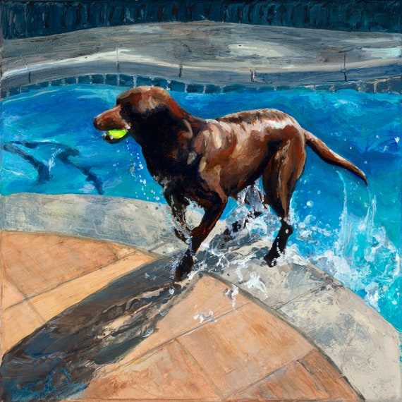 Chocolate Lab Puppies Swimming