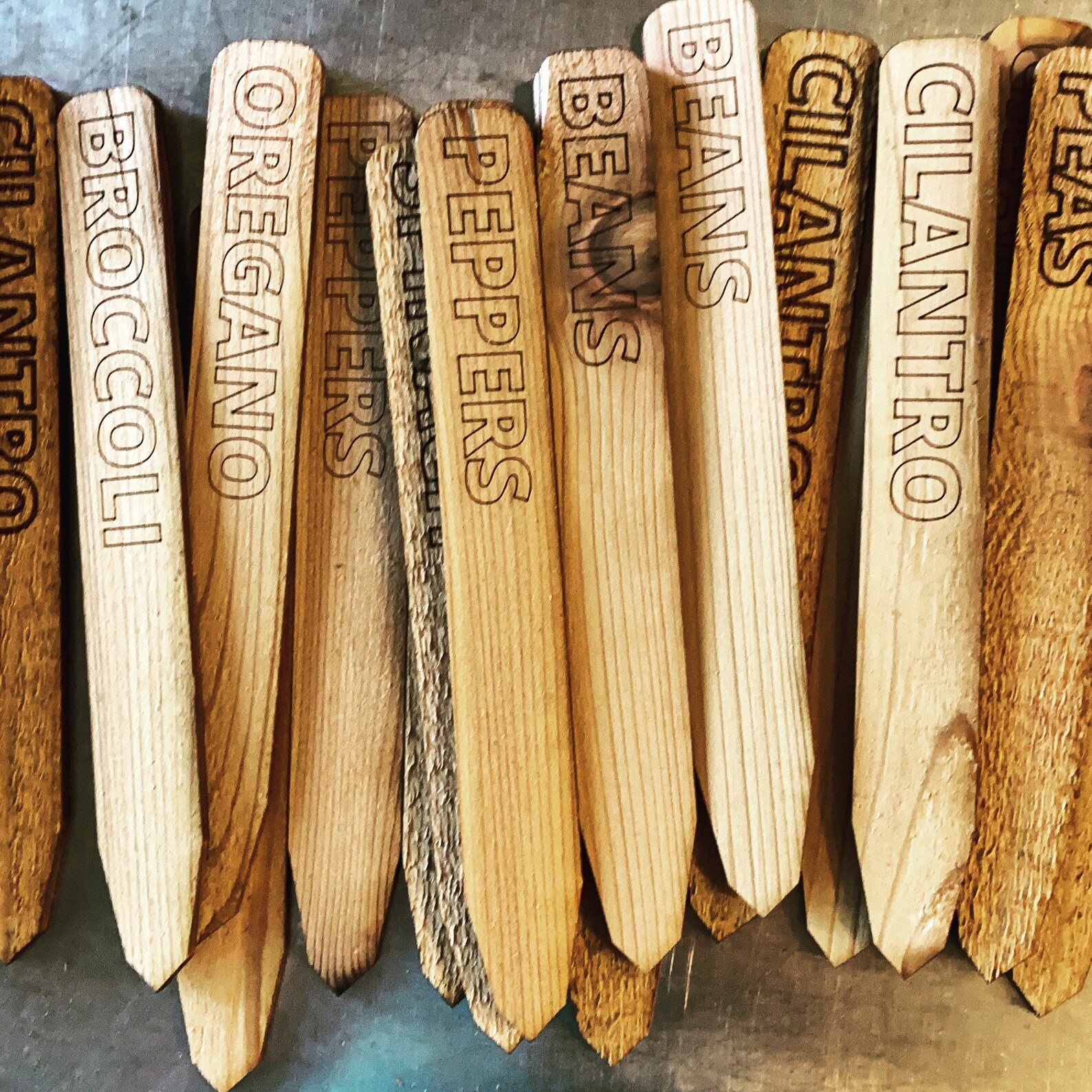 Cedar Garden Stakes - Laser Cut and Made in MN! - Etsy