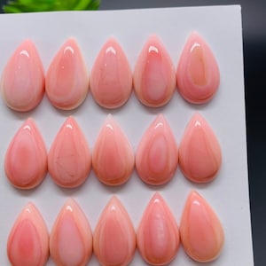 Queen Conch Shell Pear Cabs • 12x20 Mm Size • Pack of 2 Pcs • AAA ...