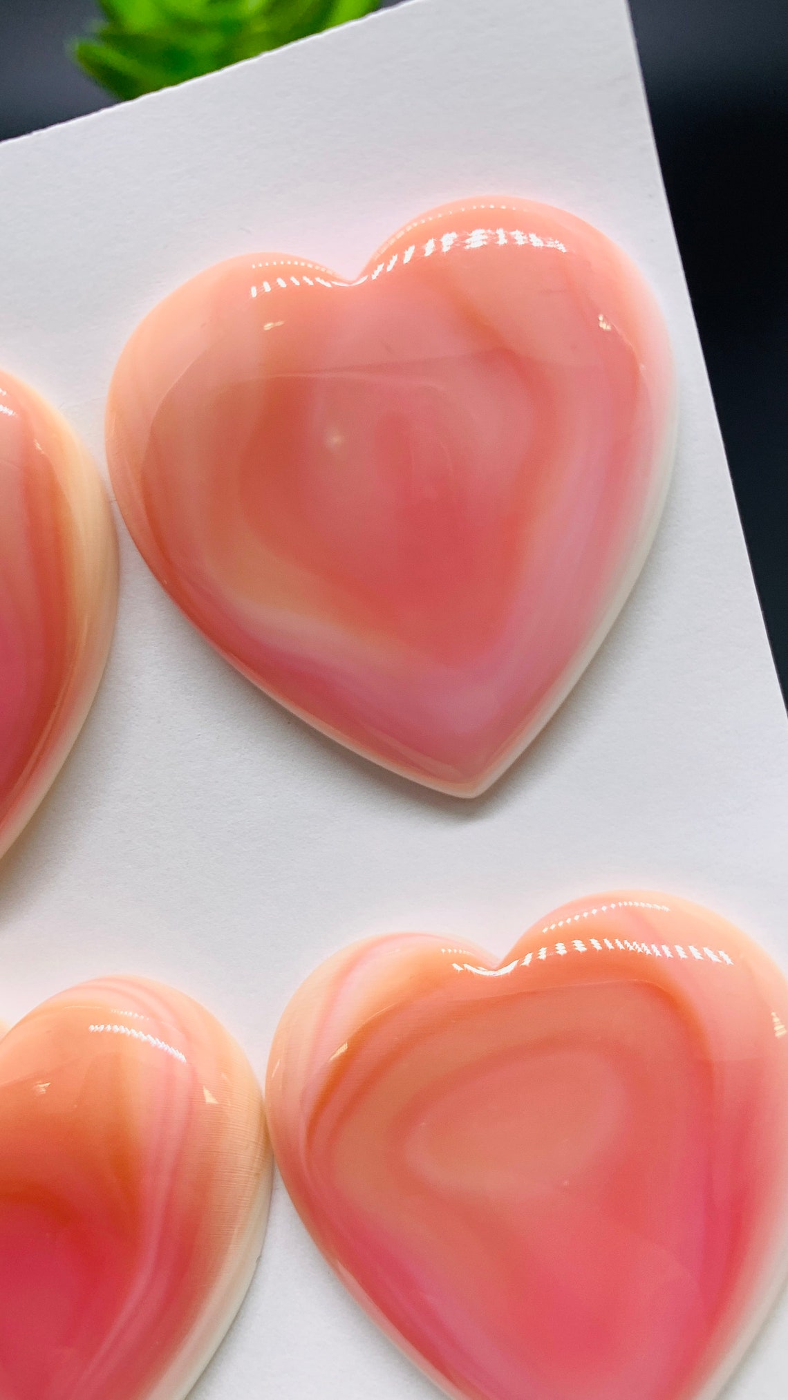 Queen Conch Shell Heart Cabs • 35 Mm Size • Pack of 1 Piece • AAA ...