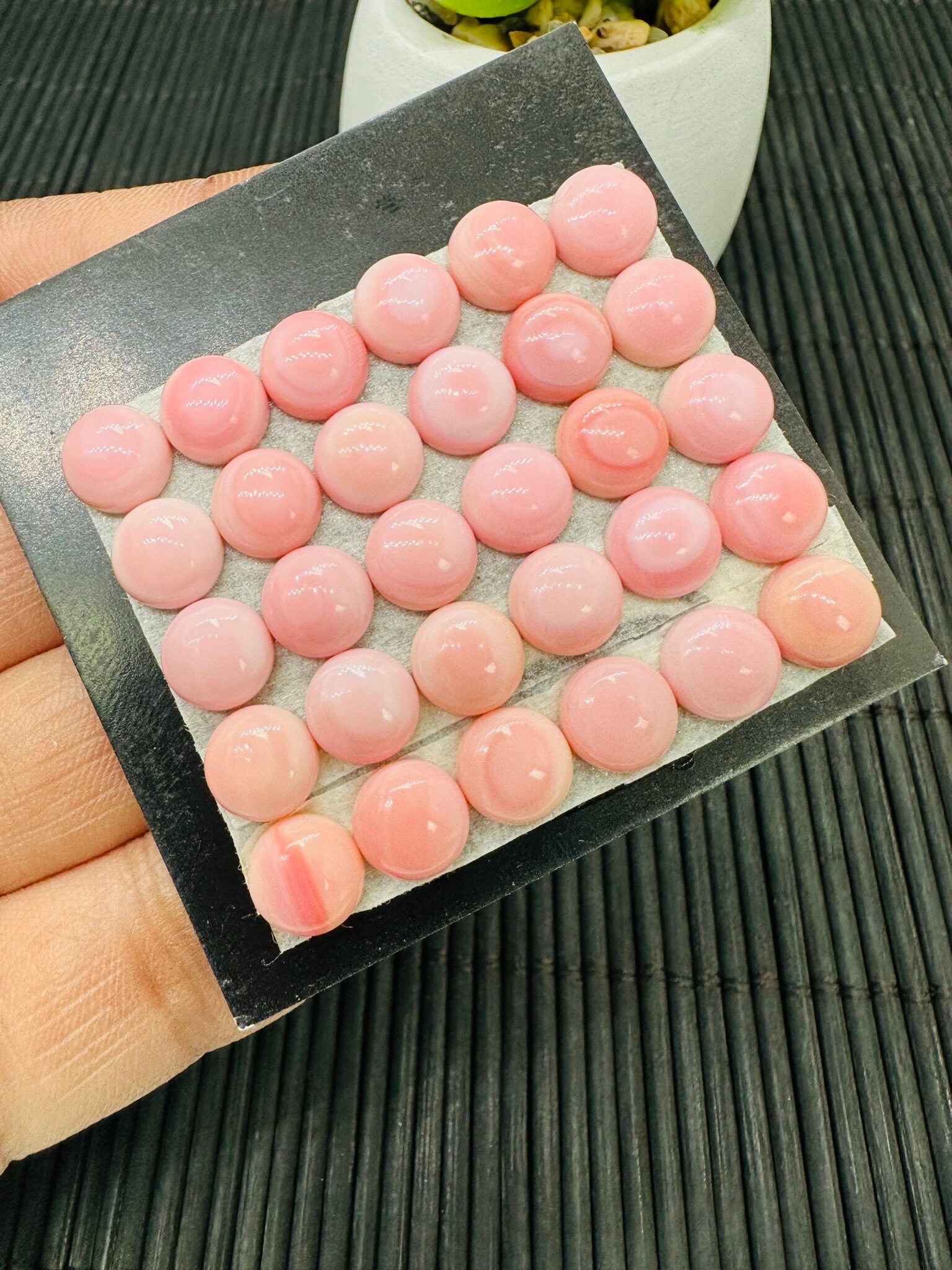Queen Conch Shell Round Cabs • 8 Mm Size • Pack of 4 Pcs • AAA Quality ...