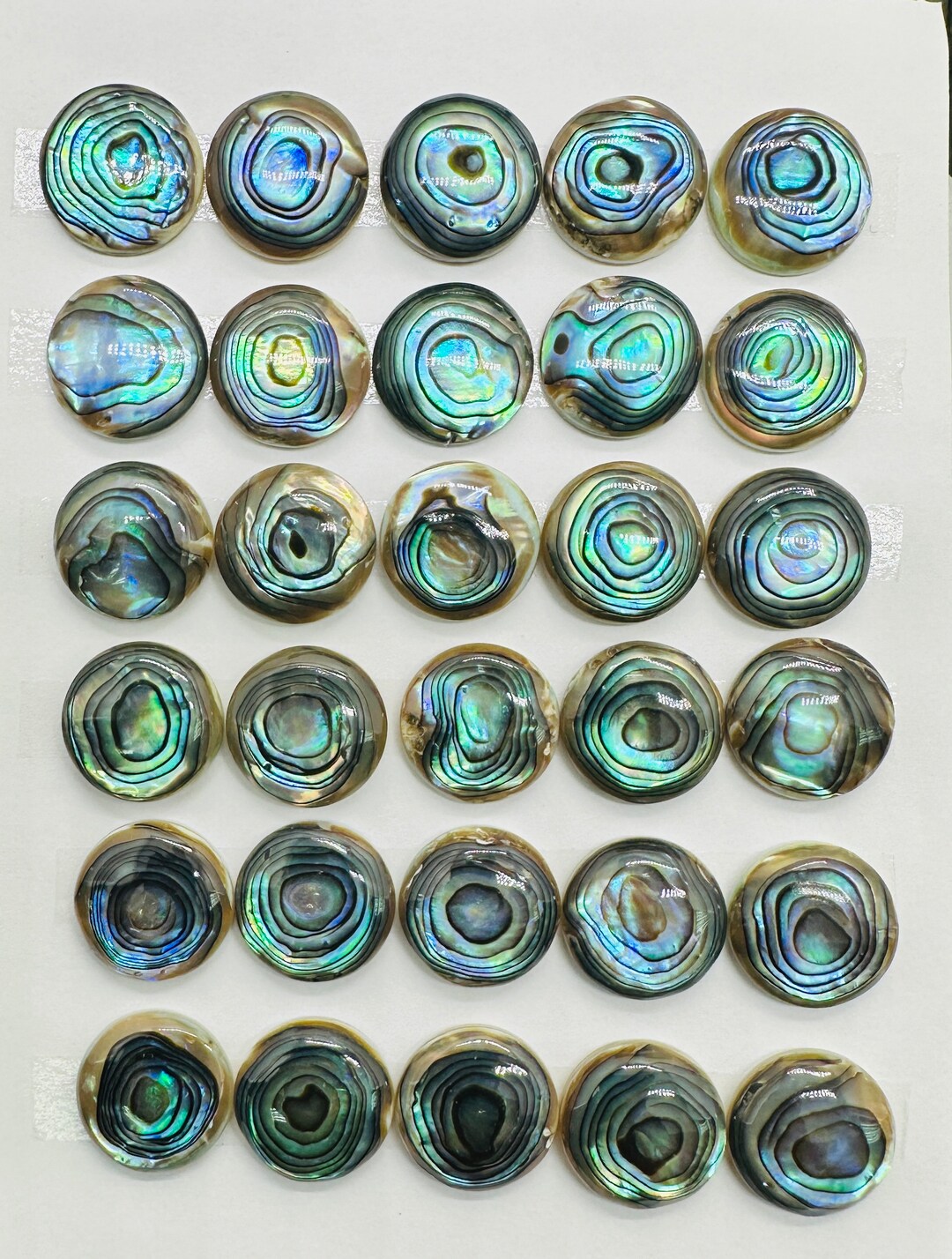 Abalone Shell Round Cabs- 12 Mm Size- Pack of 4 Pcs- AAAA Quality ...