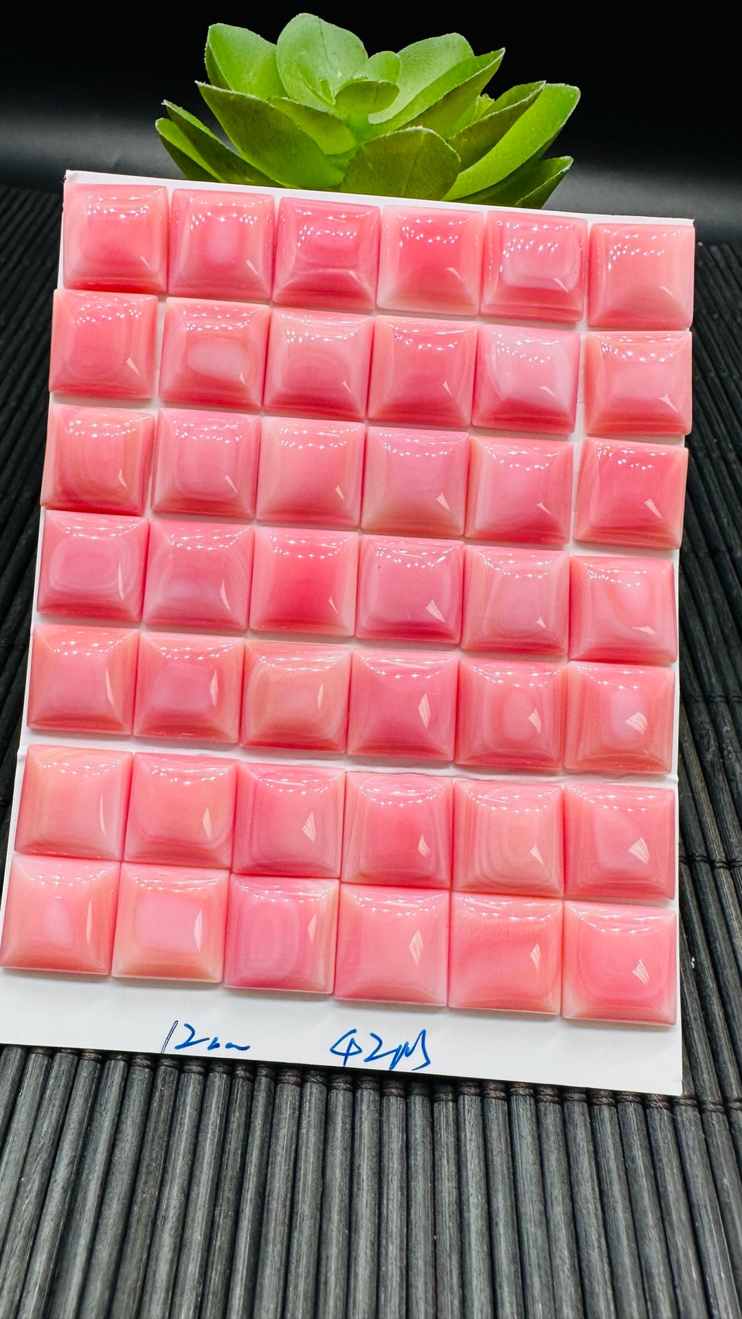 Queen Conch Shell Cushion Cabs • 12 Mm Size • Pack of 2 Pcs • AAA ...