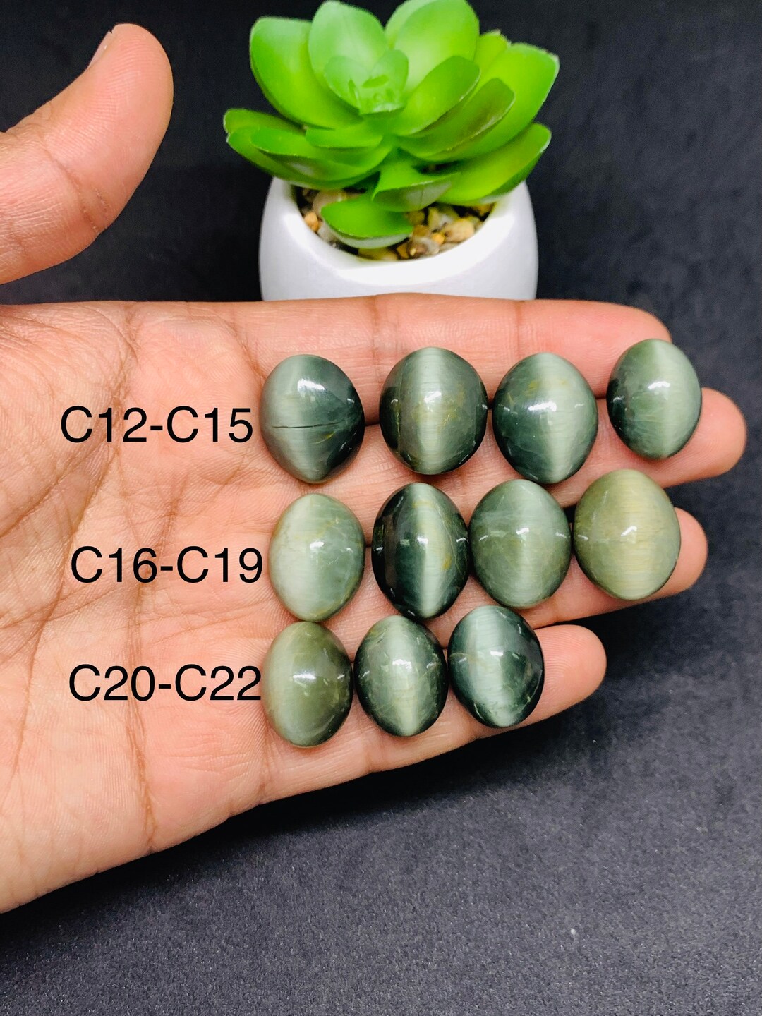 Cats Eye Cabochon • Code C12 C22 • Natural Cats Eye Cabs • Gemstone
