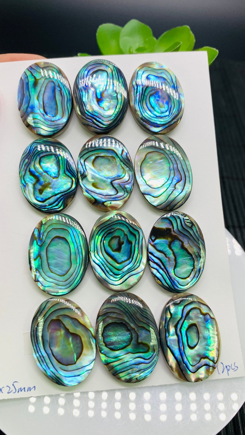 Abalone Shell Oval Cabs- 18x25 Mm Size- Pack of 1 Pc- AAAA Quality ...