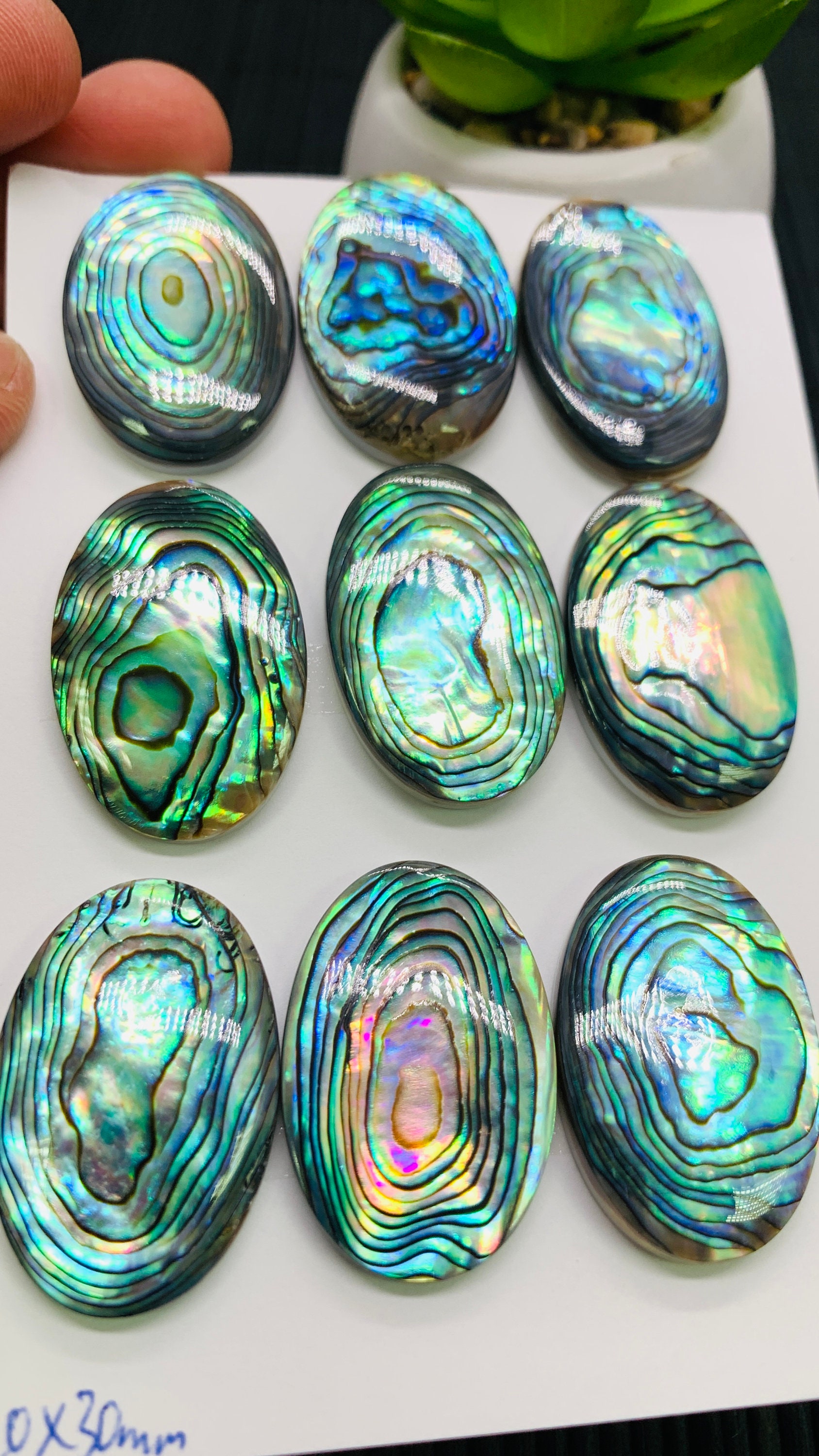 Abalone Shell Oval Cabs- 20x30 Mm Size- Pack of 1 Pc- AAAA Quality ...