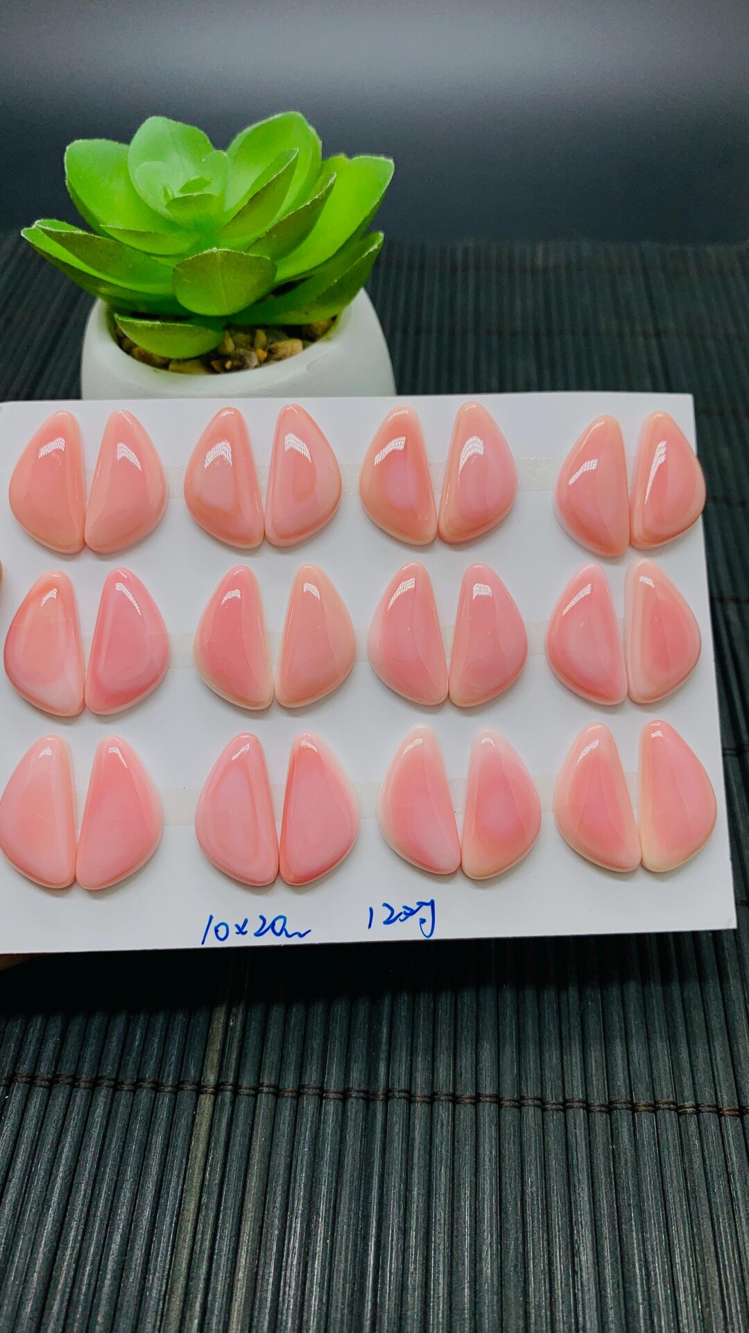 Queen Conch Shell Fancy Cabs • 20x10 Mm Size • Pack of 2 Pcs • AAA ...