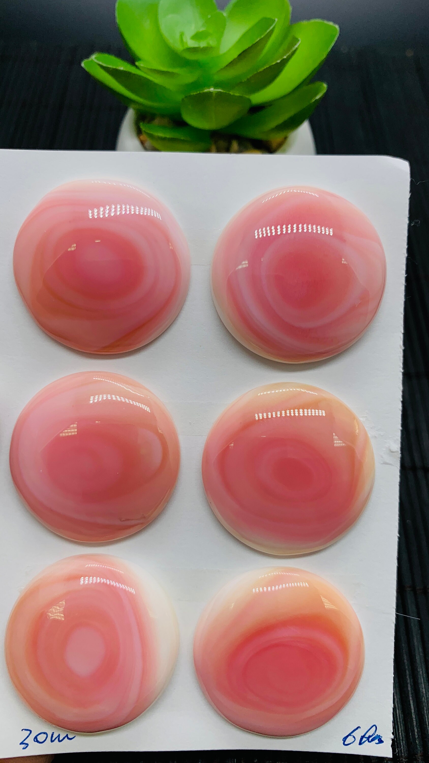 Queen Conch Shell Round Cabs • 30 Mm Size • Pack of 1 Piece • AAA ...