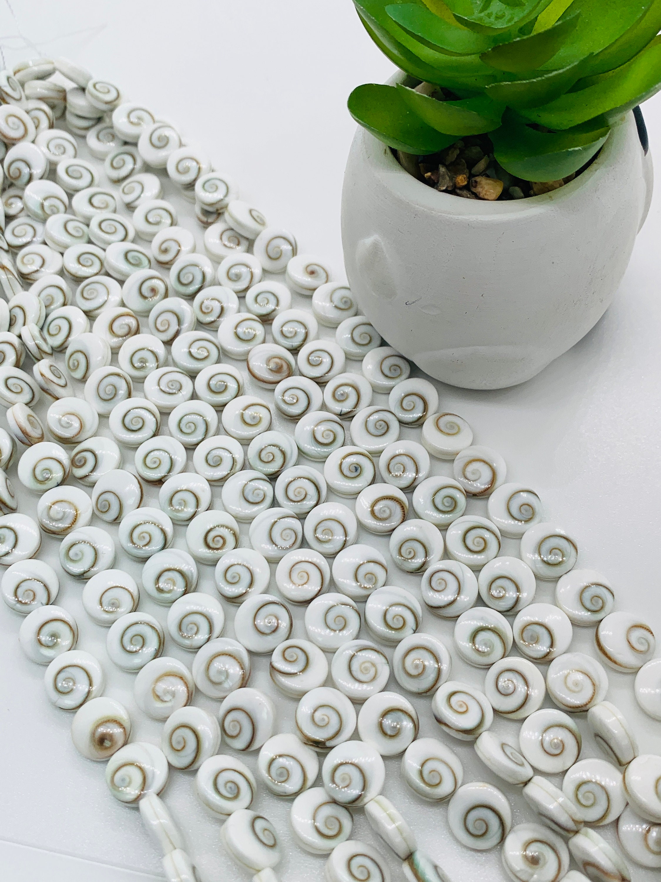 Shiva Shell Round Coin Beads 6 / 8 Mm Size AAA Quality - Etsy