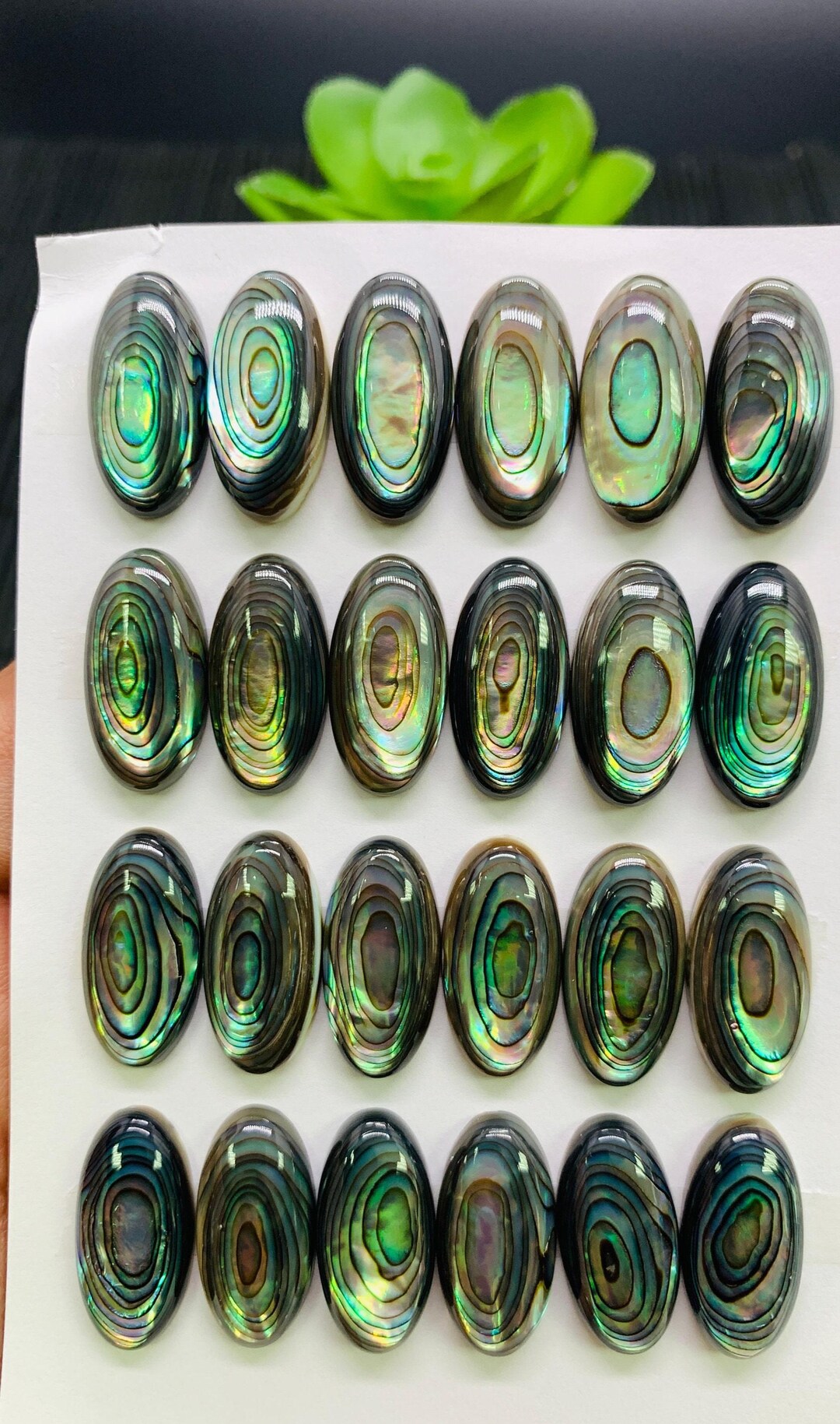 Abalone Shell Oval Cabs- 12x24 Mm Size- Pack of 2 Pcs- AAAA Quality ...