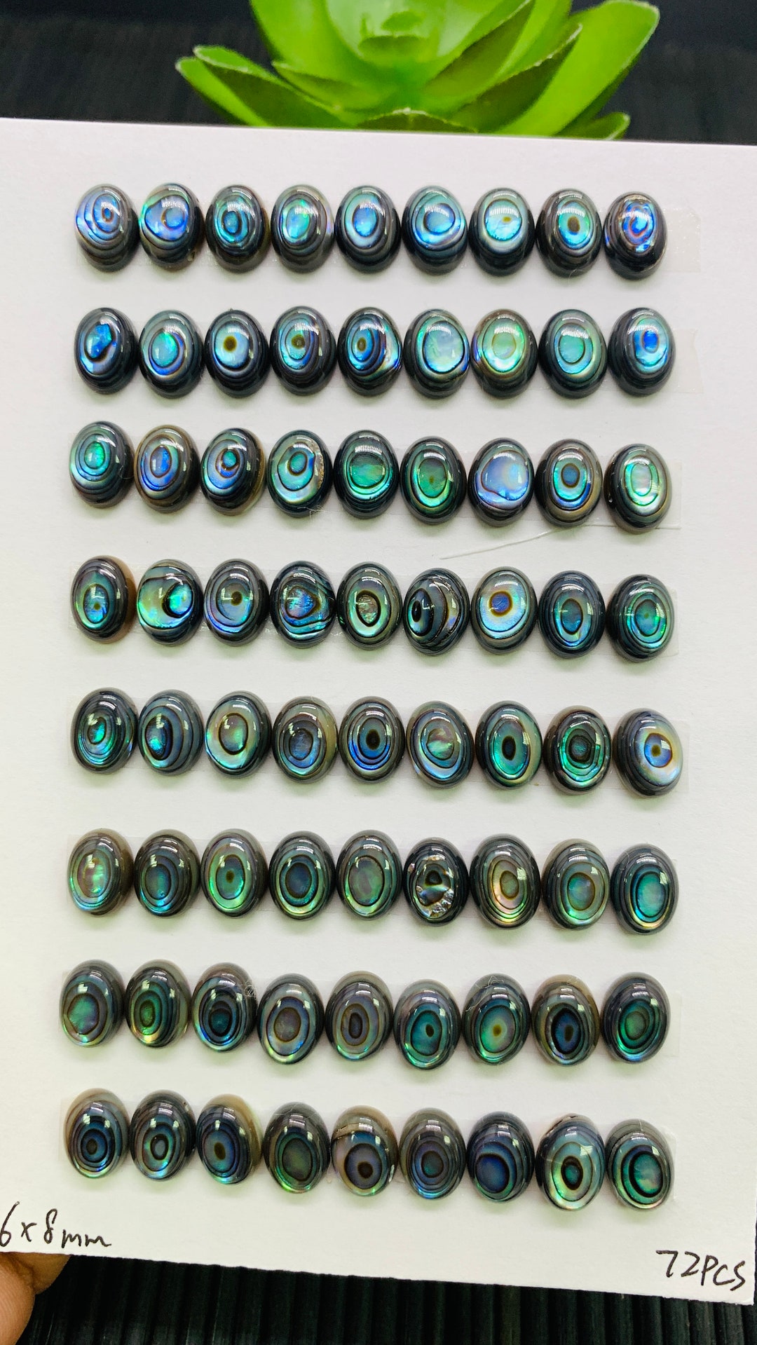 Abalone Shell Oval Cabs- 6x8mm Size- Pack of 4 Pcs- AAAA Quality ...