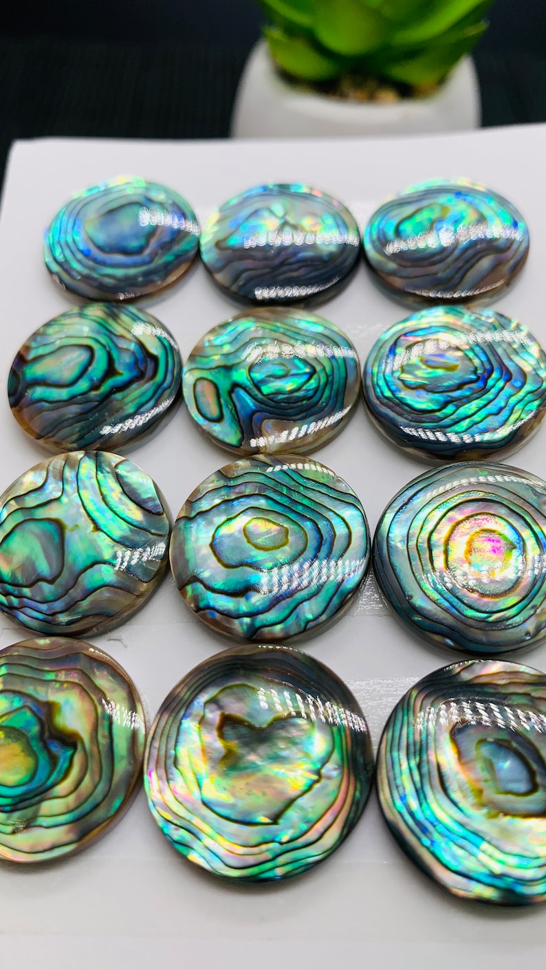 Abalone Shell Round Cabs- 20 Mm Size- Pack of 1 Pc- AAAA Quality ...