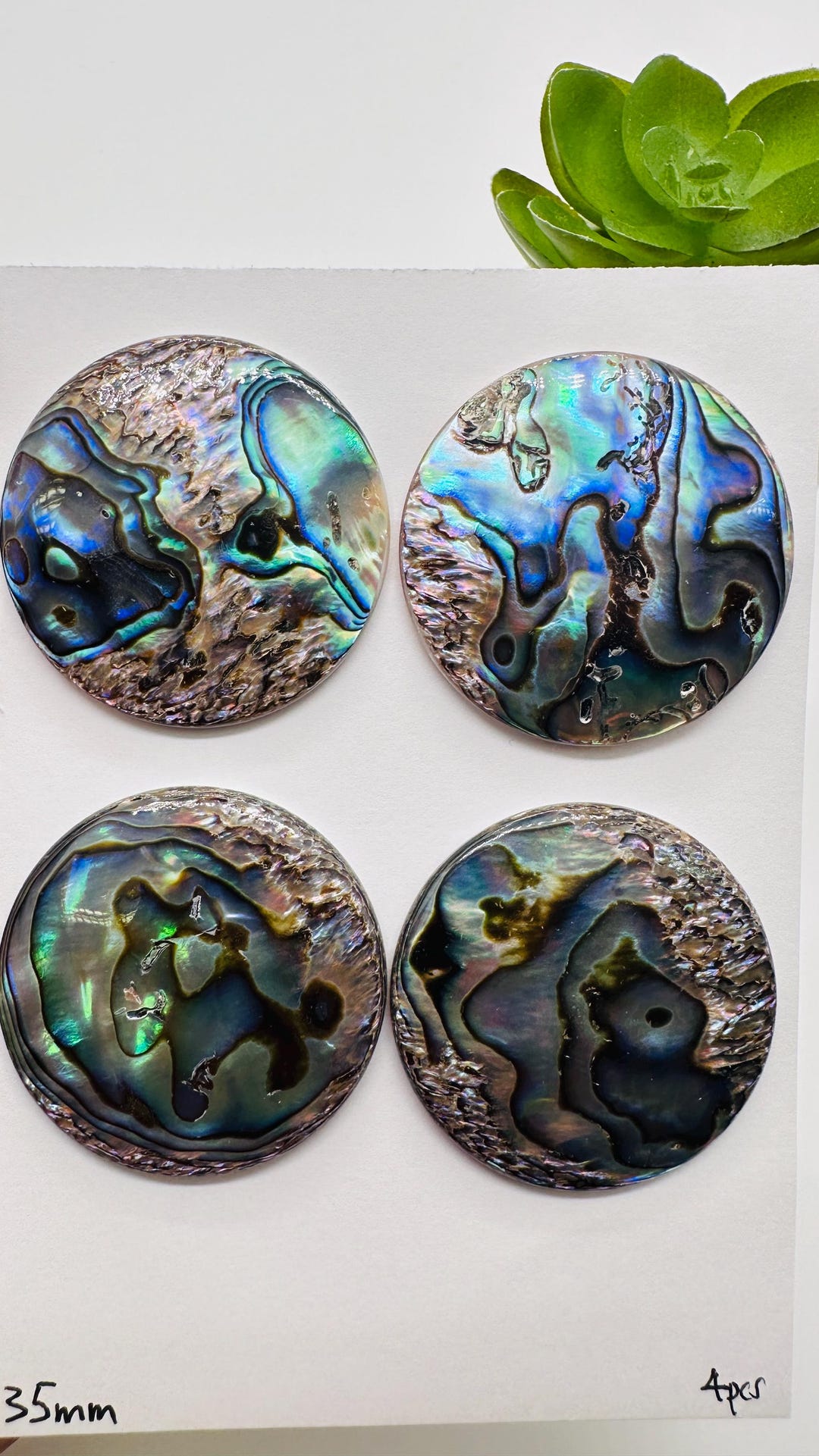 Abalone Shell Round Cabs- 35 Mm Size- Pack of 1 Pc- AAAA Quality ...