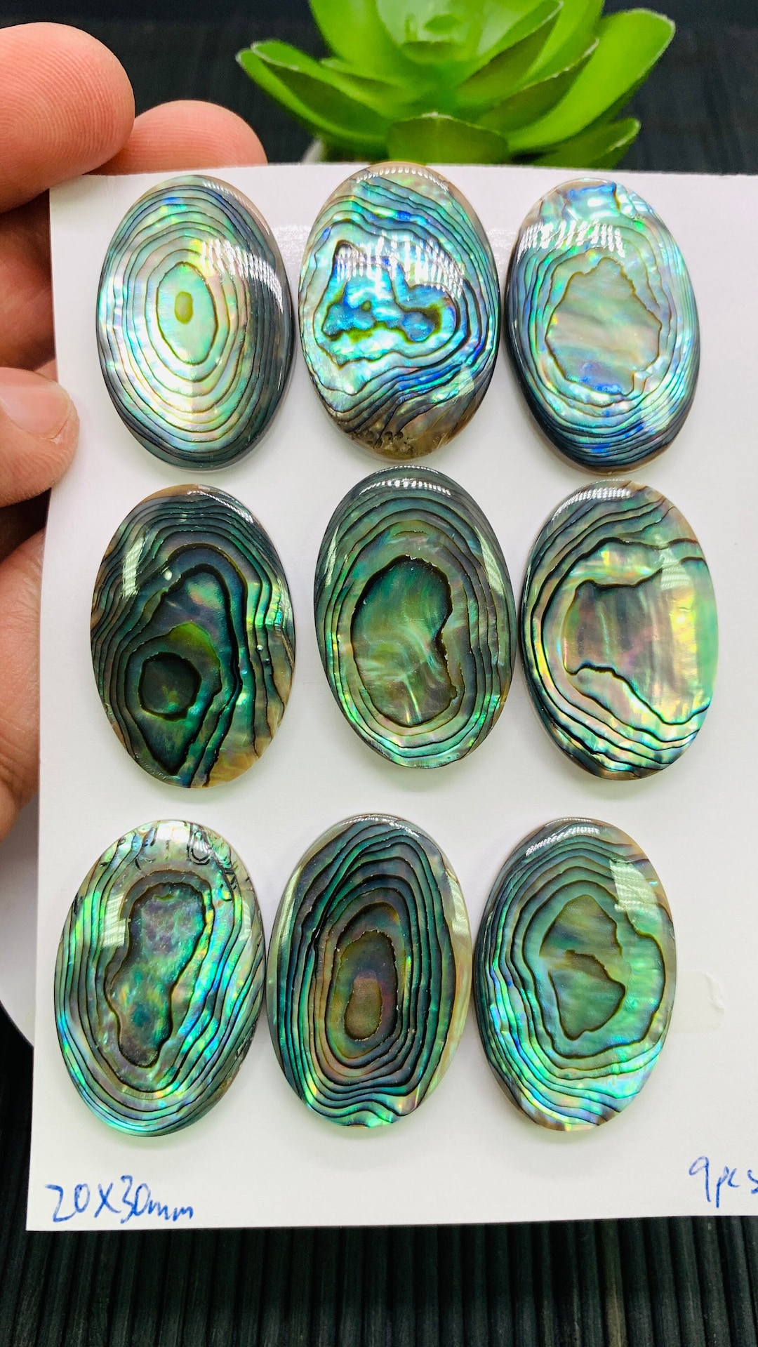 Abalone Shell Oval Cabs- 20x30 Mm Size- Pack of 1 Pc- AAAA Quality ...