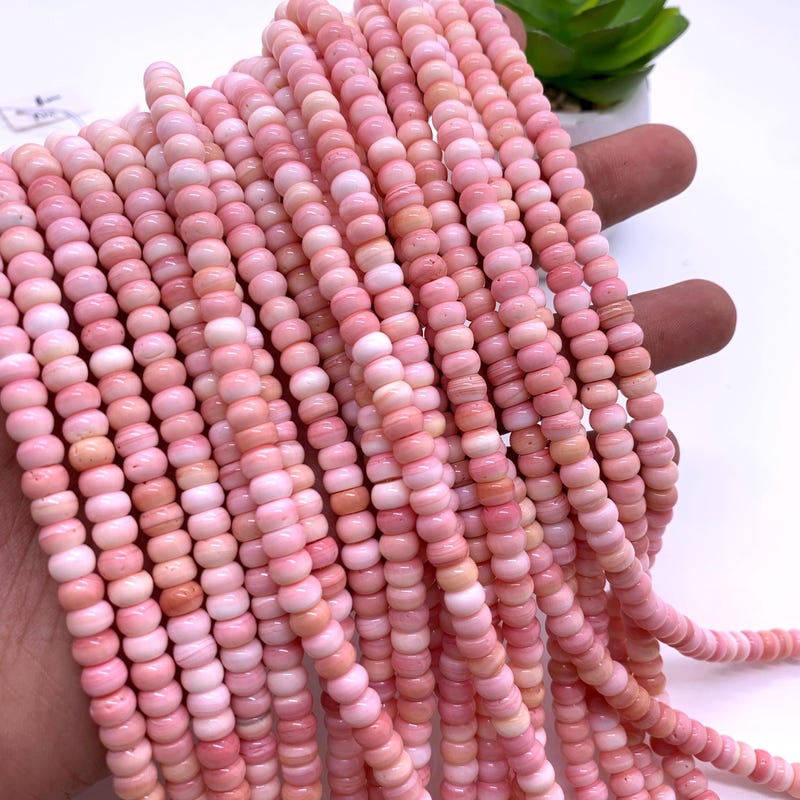 Pink Conch Carved Shell - Etsy