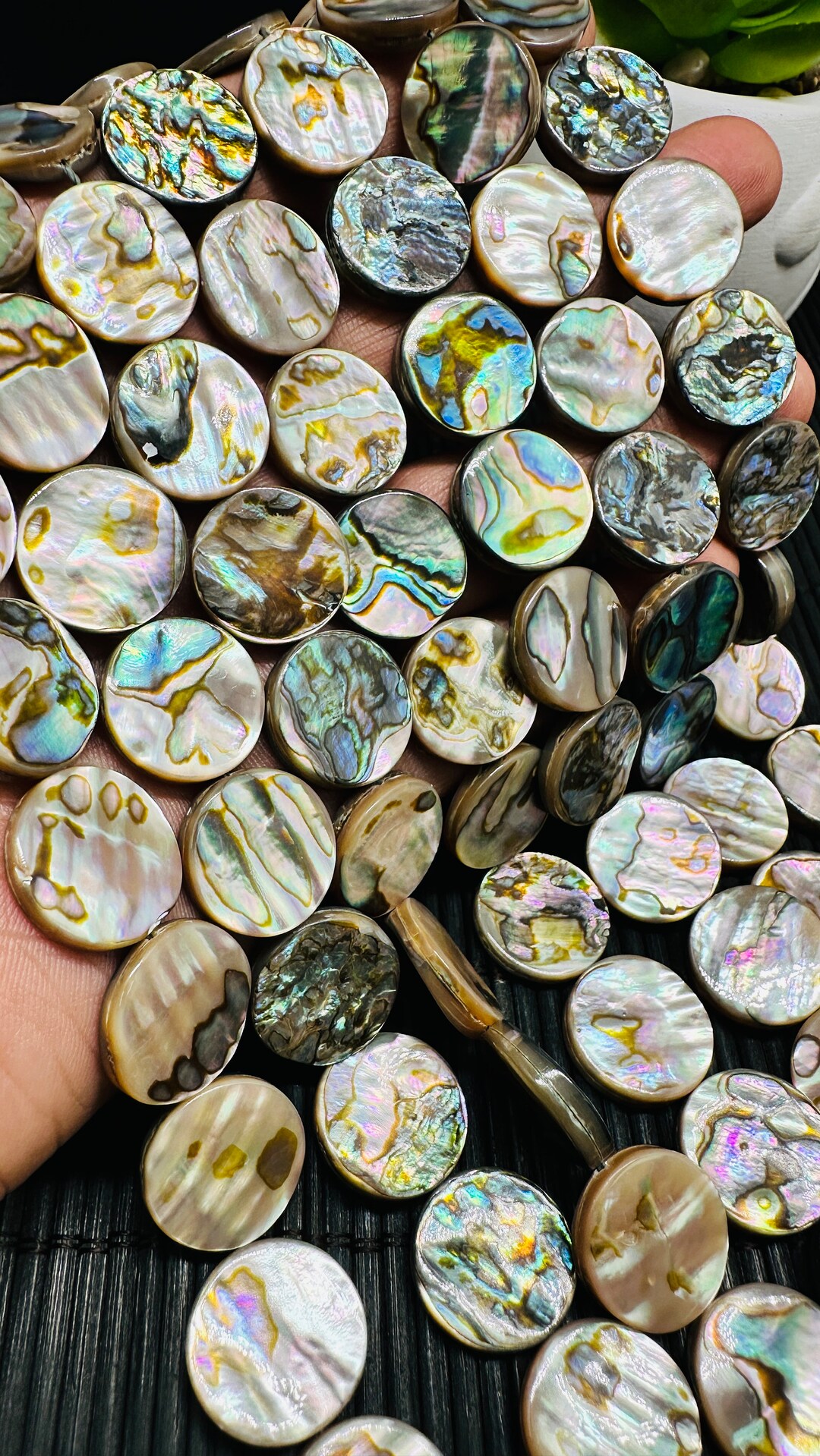 Abalone Shell Coin Beads • 16 Mm Size • 40 Cm Length • AAA Quality ...