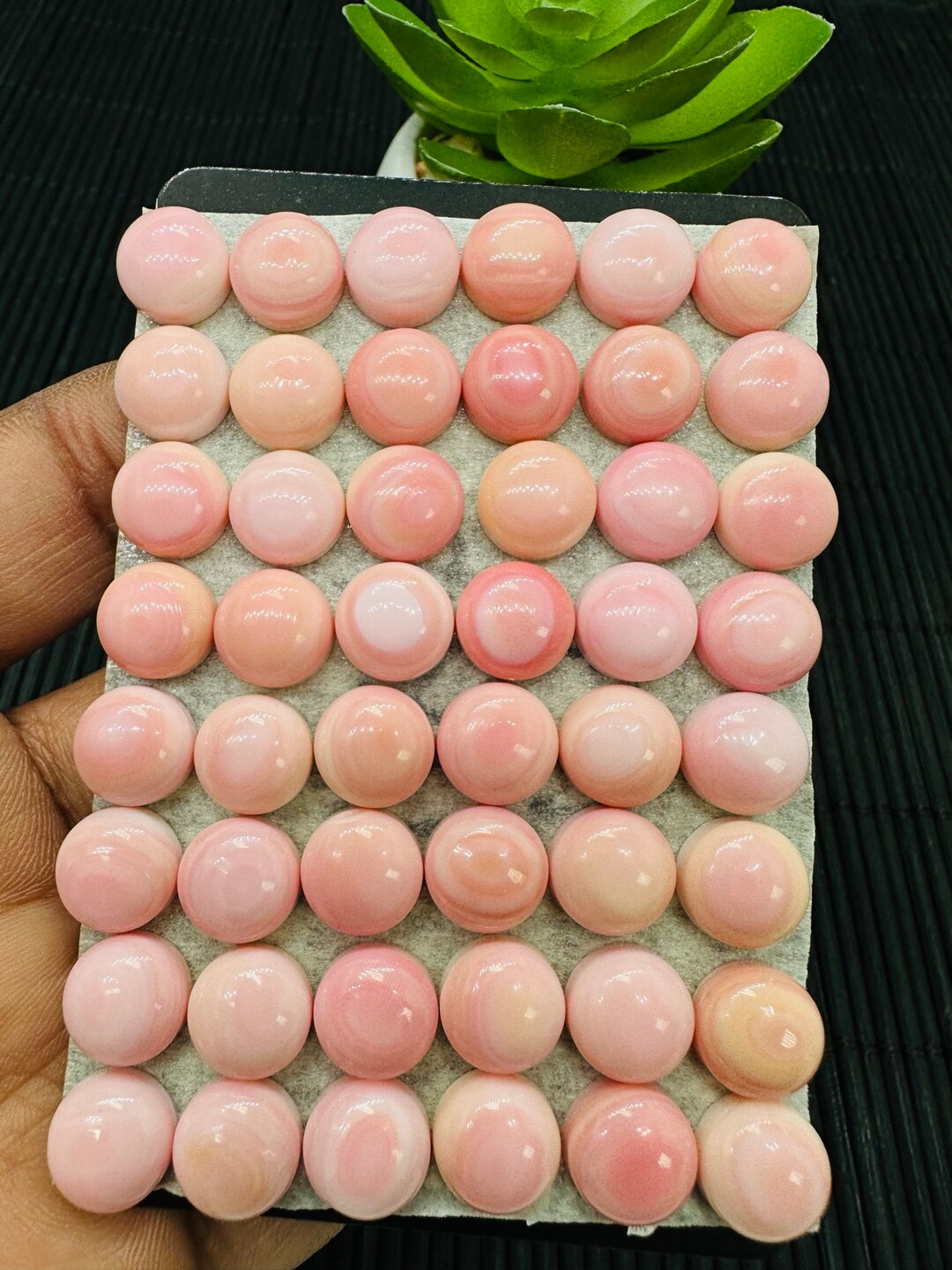 Queen Conch Shell Round Cabs • 10 Mm Size • Pack of 4 Pcs • AAA Quality ...