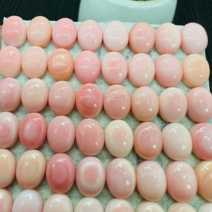 Queen Conch Shell Oval Cabs • 8X10 Mm Size • Pack of 4 Pcs • AAA ...