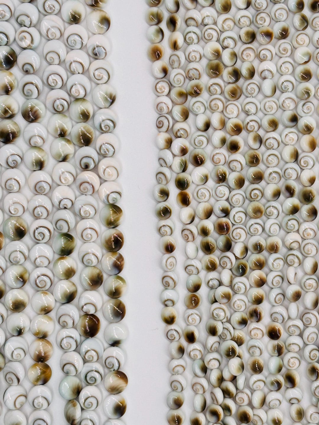 Shiva Shell Round Coin Beads - 6 / 8 Mm Size • AAA Quality• Length 40 ...