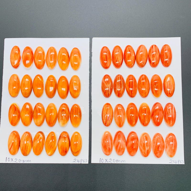 Red Spiny Oyster Oval - Etsy