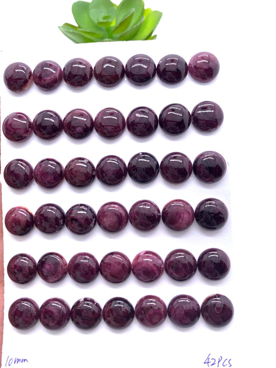 10 Mm Purple Spiny Oyster Shell Round Cabs • Pack of 2 Pieces • AAA ...