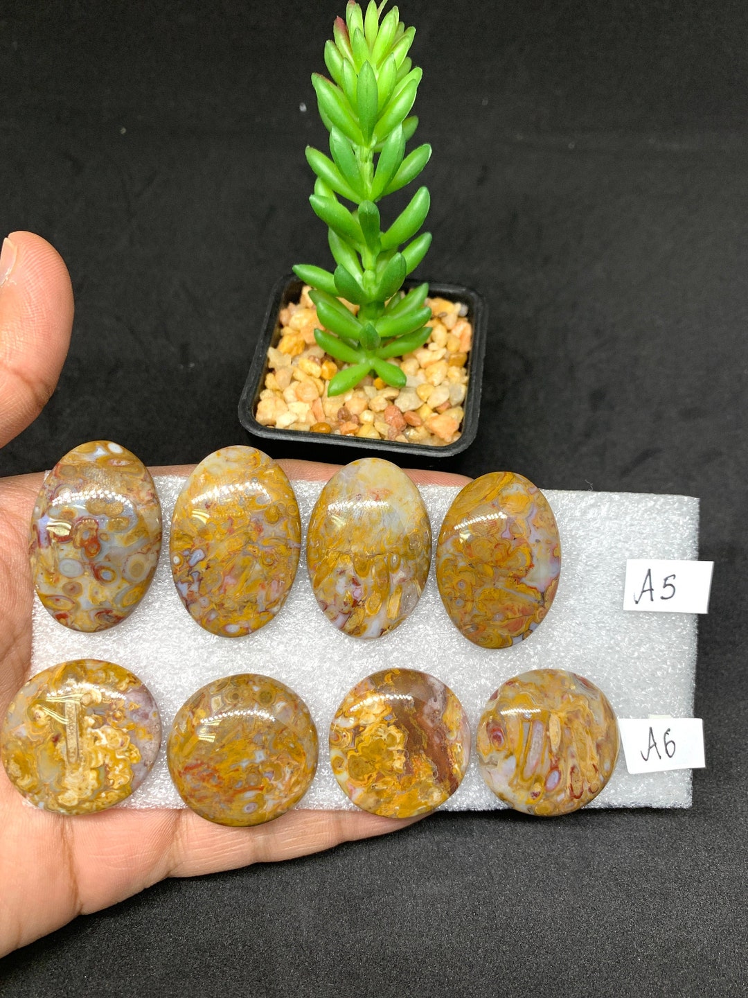 Red Plum Jasper Cabochon • Code #A5 (32-33 X 22-23 MM ) /A6 (26-27 MM ...