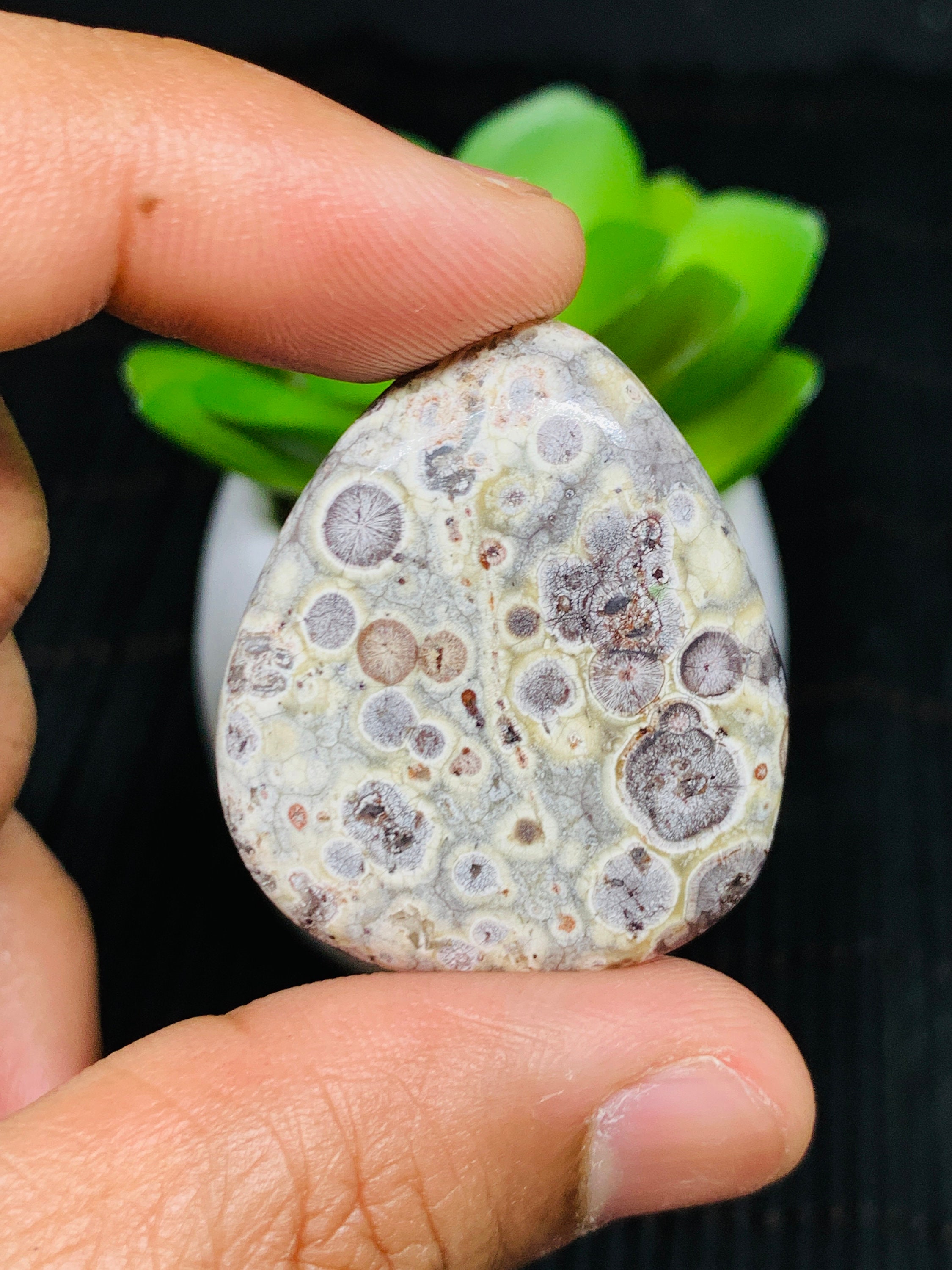 Astrolite Cabochon Code A18 A21 AAA Quality Natural | Etsy