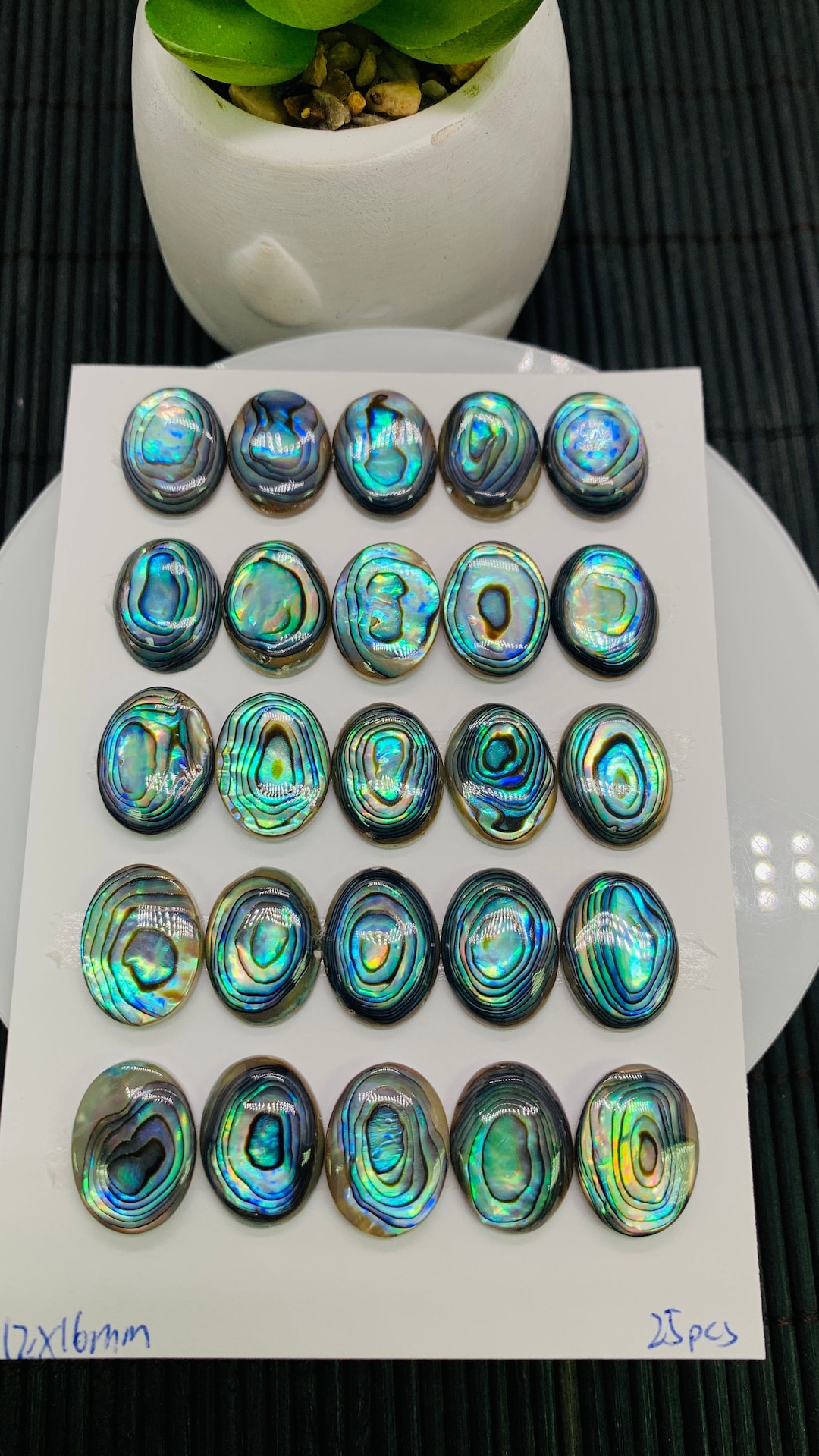 Abalone Shell Oval Cabs- 12x16 Mm Size- Pack of 2 Pcs- AAAA Quality ...